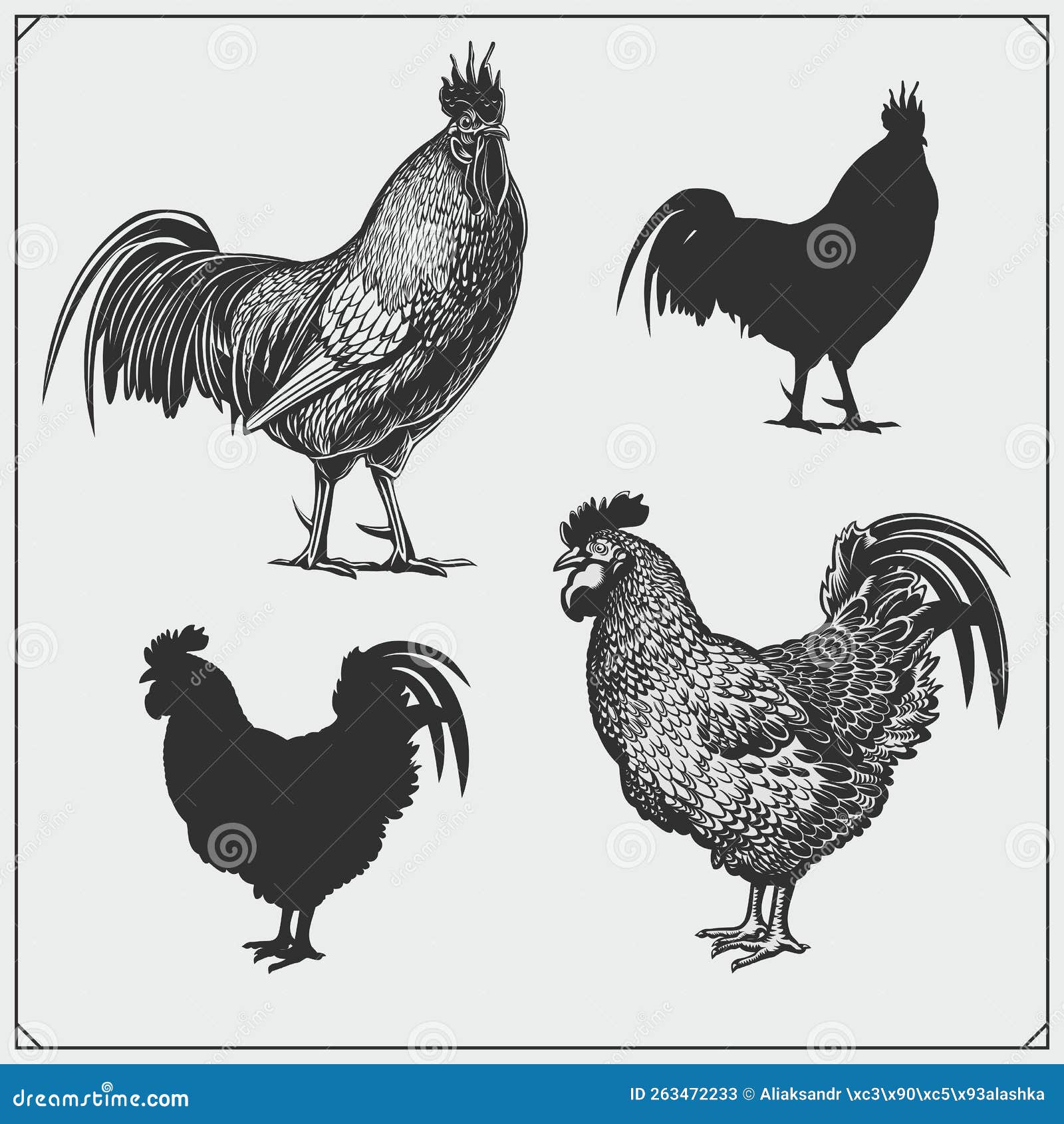 Illustration of Roosters. Vector Silhouettes Stock Vector ...