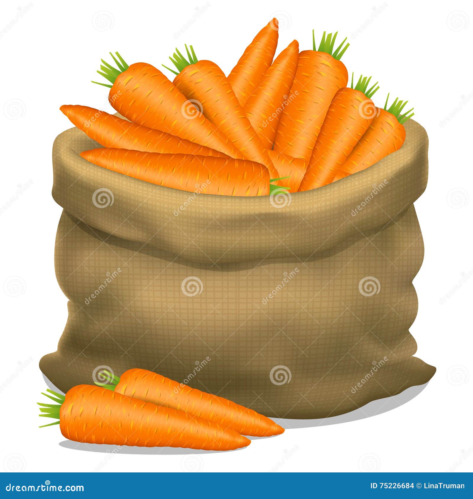 Many Carrots Stock Illustrations – 217 Many Carrots Stock Illustrations ...