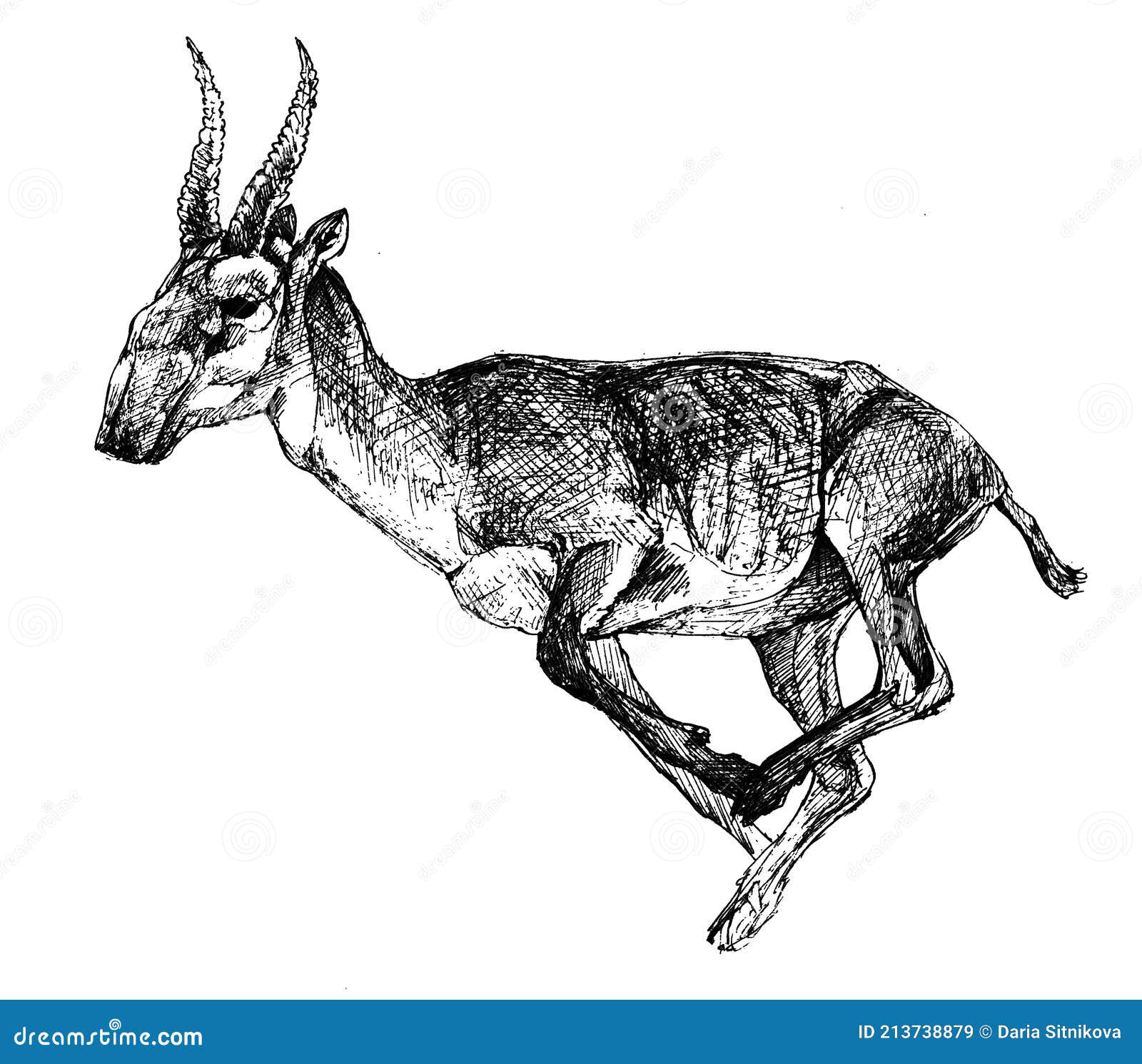 Illustration of a saiga stock illustration. Illustration of white ...