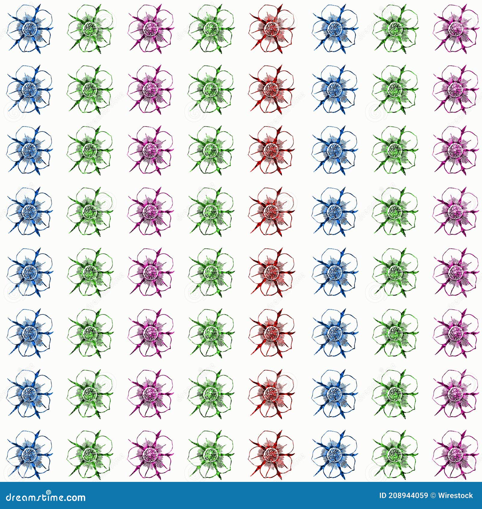Illustration of the Same Flower in Four Different Colors on a White ...