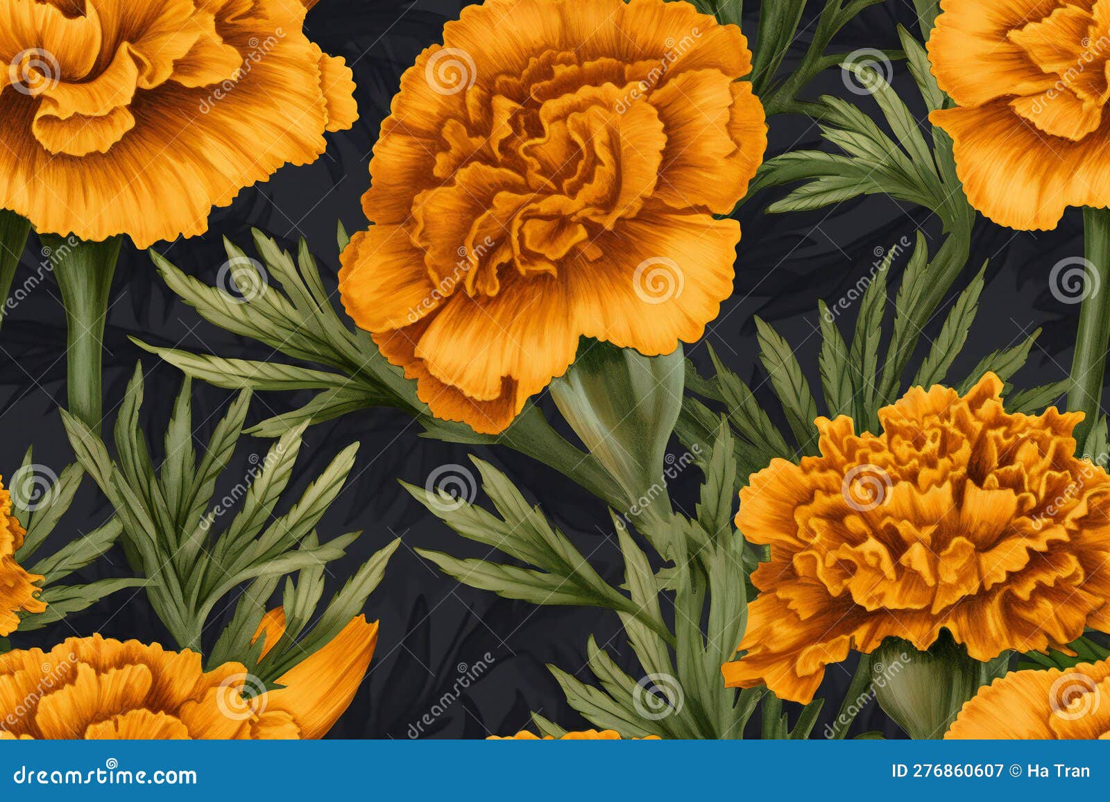 Seamless Pattern with Marigold Flowers Stock Illustration ...