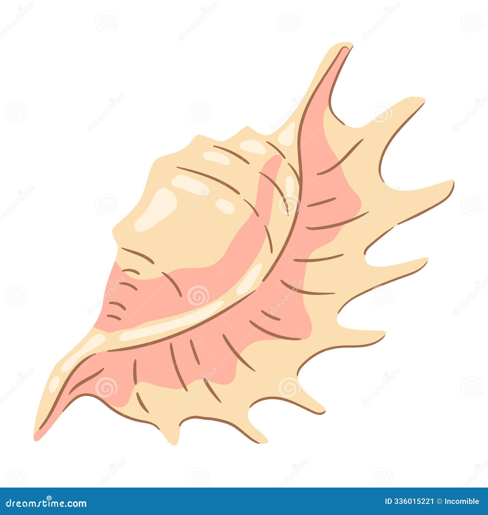 Illustration of Seashell. Tropical Underwater Mollusk Shell. Stock ...
