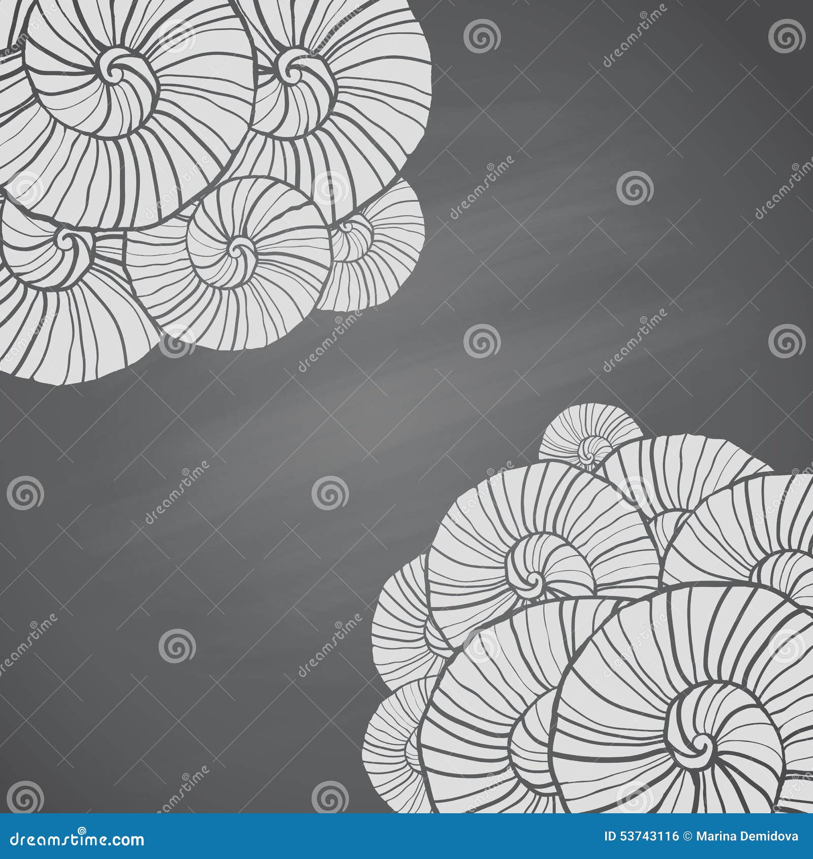 Illustration with Seashells Patterns in Sketch Style on Chalkboard ...