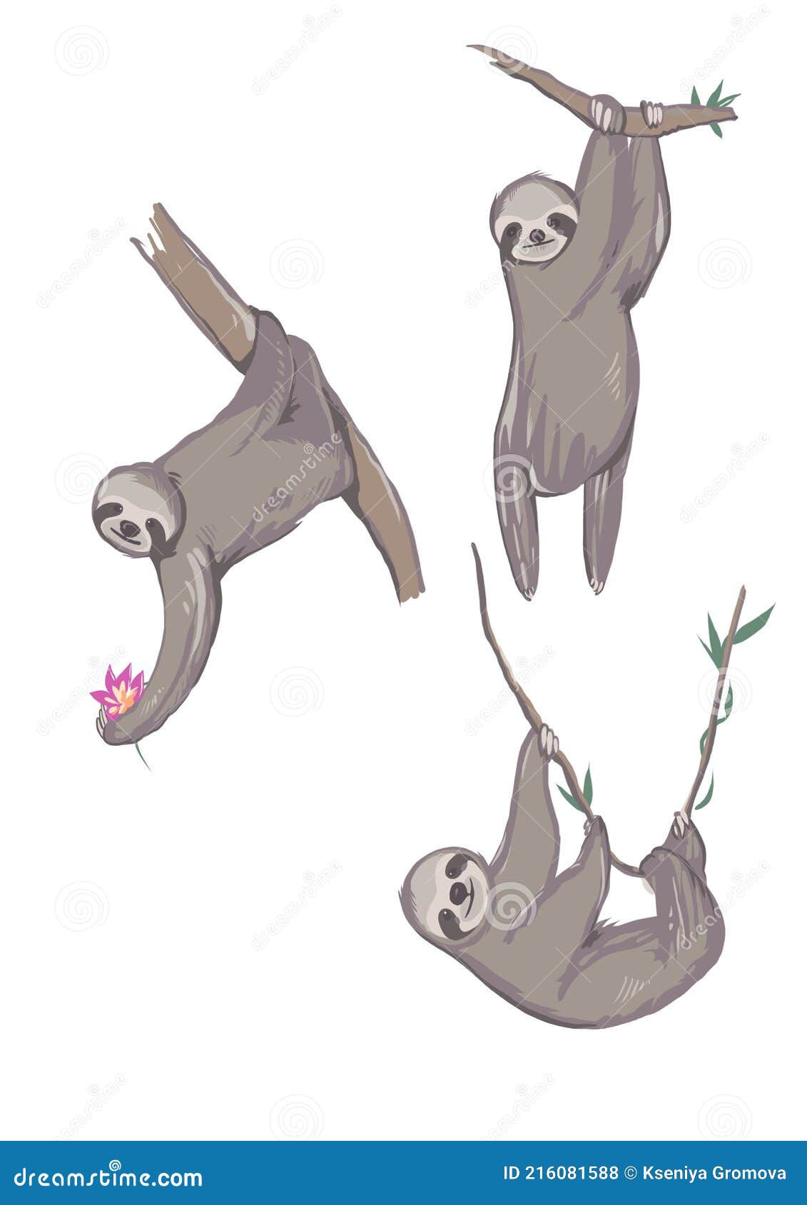 Illustration, Set - Animals Sloths in Different Poses Hang on a Branch ...