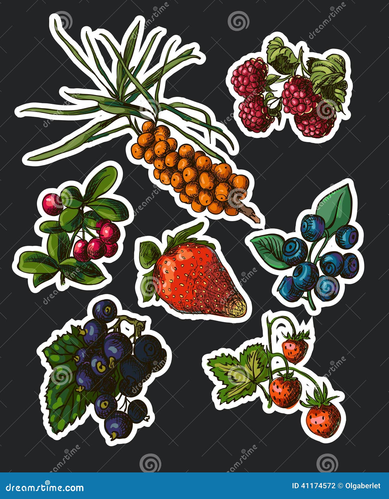 Illustration Set of Berries Stock Vector - Illustration of drop, menu ...