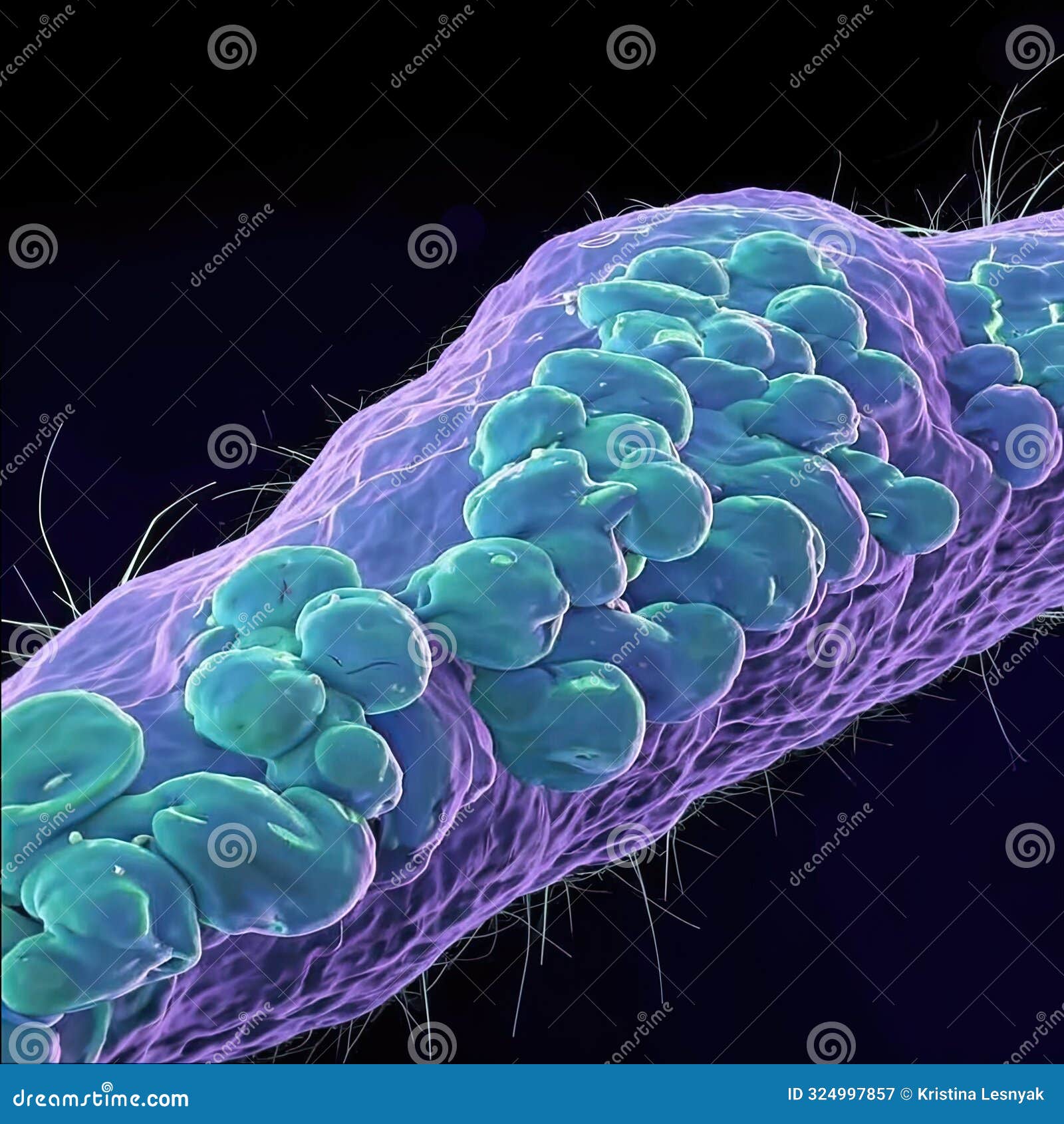 Illustration of a Set of Cells Reproduction Stock Illustration ...