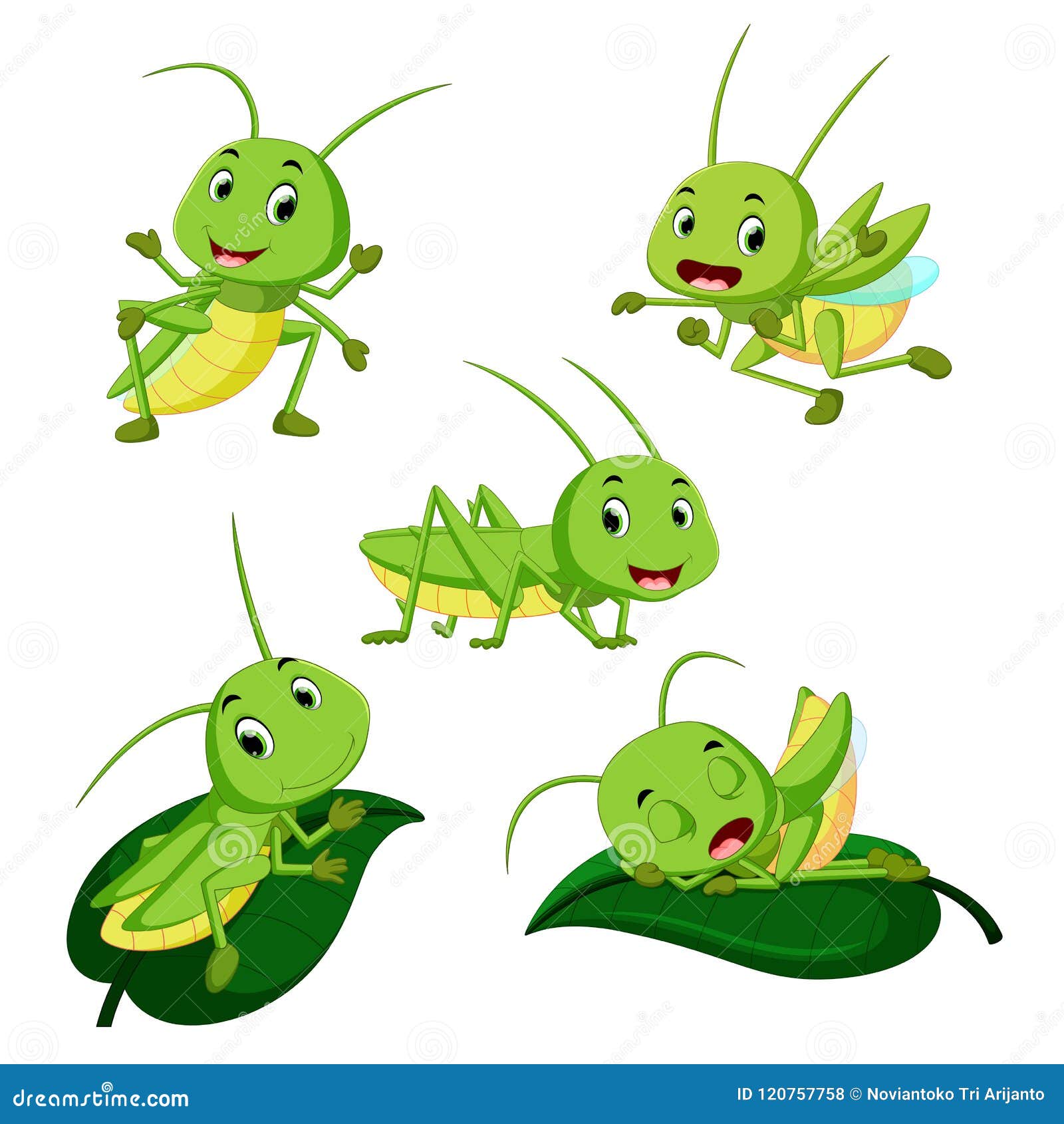 Grasshopper Cartoons, Illustrations & Vector Stock Images - 3462 ... Grasshopper Cartoons, Illustrations & Vector Stock Images - 3462 ...