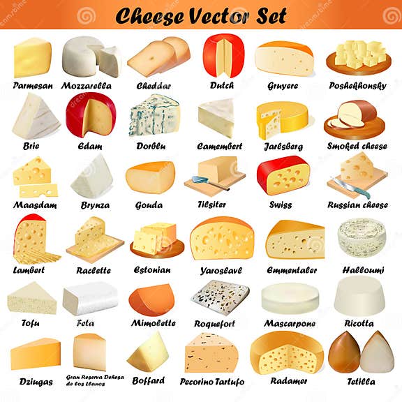 Set of Different Types of Cheese on a White Background Stock Vector ...