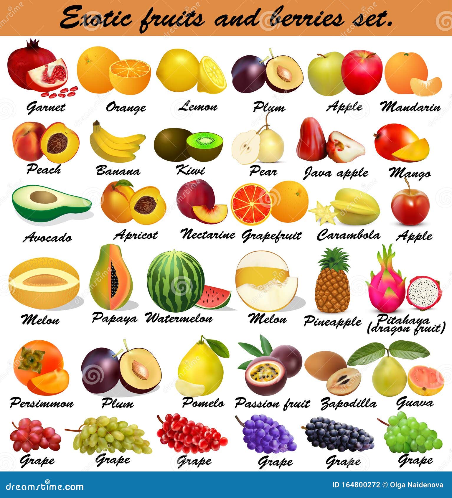 Set of Exotic Fruits and Berries Stock Vector - Illustration of ...