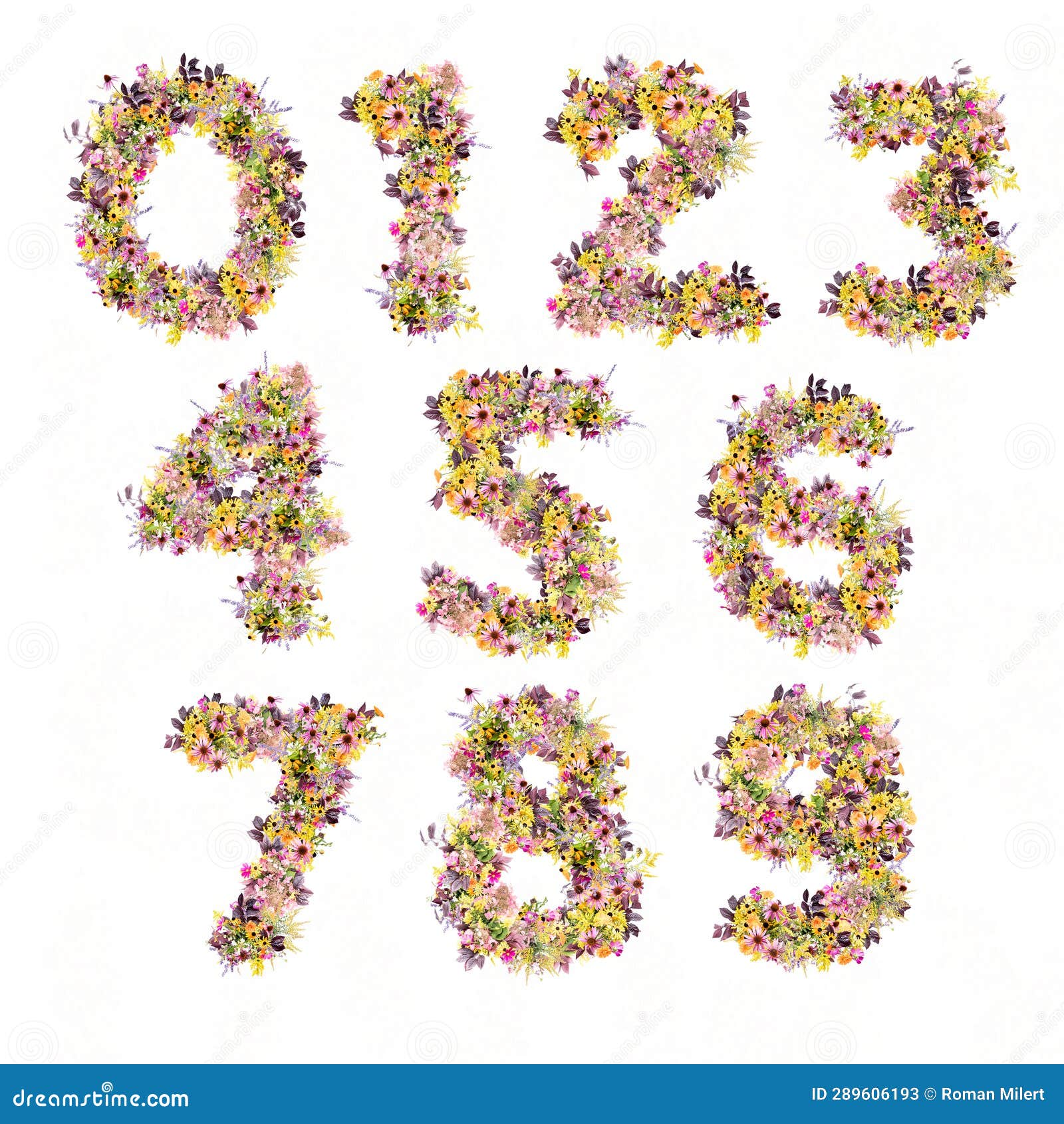 Set of Wild Flowers Digits 0 To 9 Stock Illustration - Illustration of ...