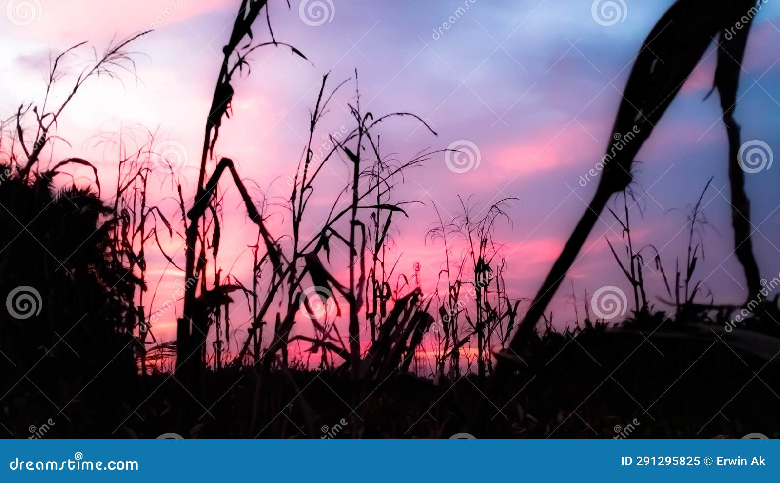 Illustration of the Setting Sun on the Western Horizon Stock Image ...