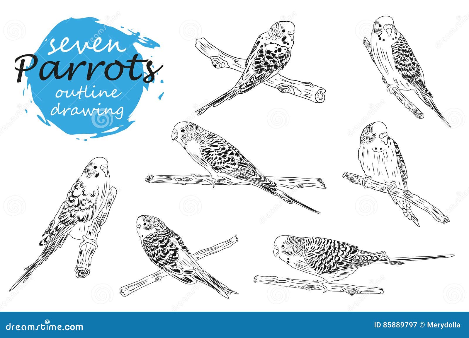 Illustration of Seven Parrot in Outlines Stock Illustration ...