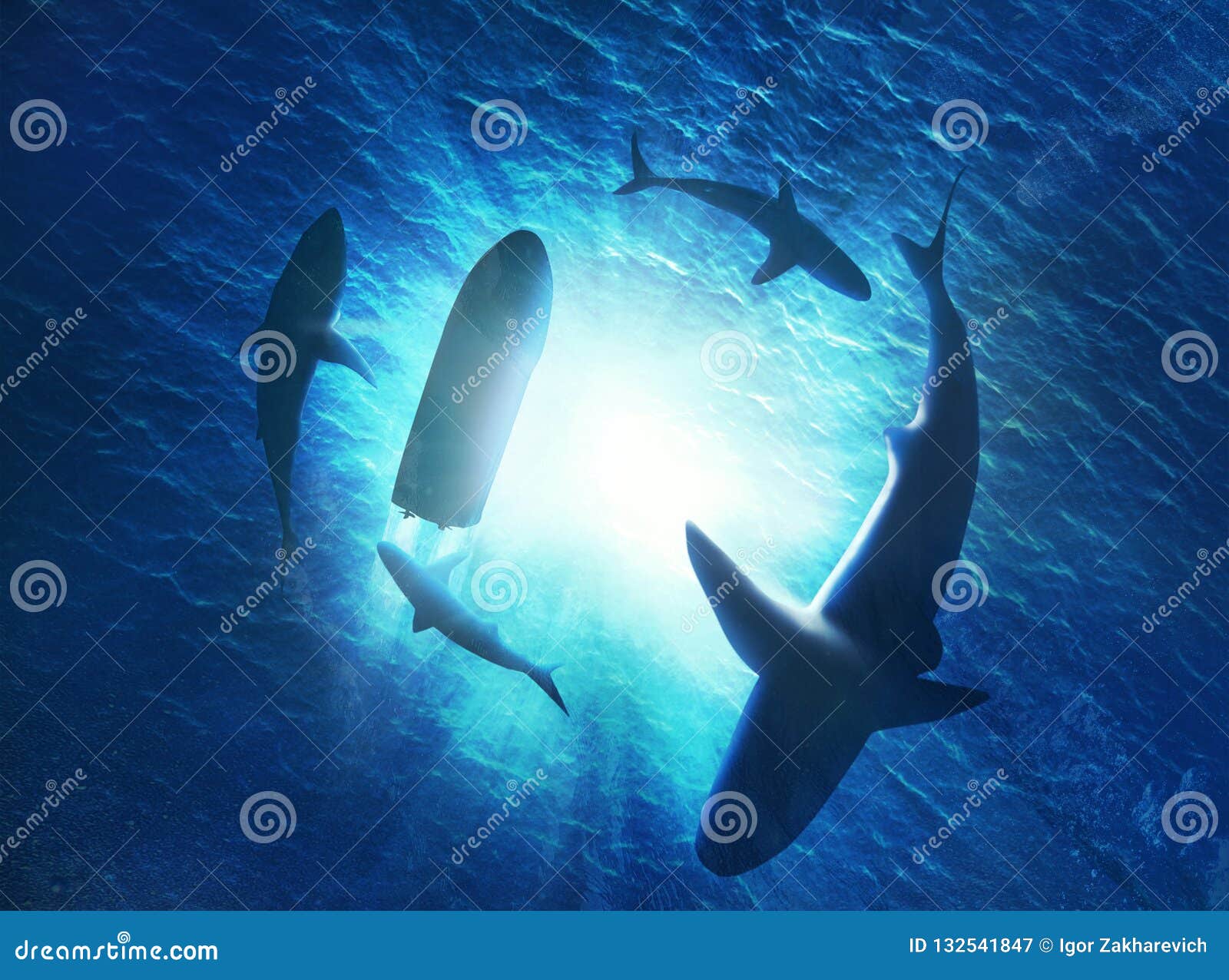 Sharks Forming a Circle Under a Boat in Water Stock Image - Image of ...