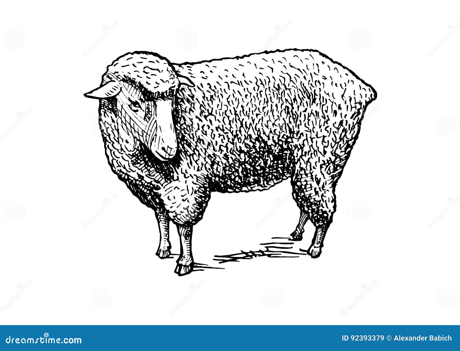 Illustration of sheep stock vector. Illustration of drawing - 92393379
