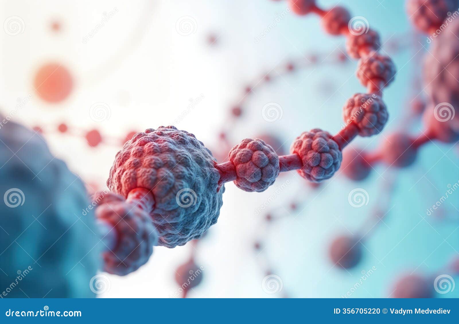 Fermentation Pathway Under Anaerobic Conditions. Molecules Interact ...
