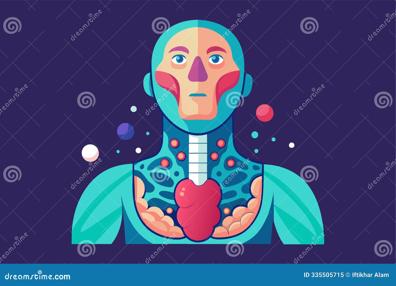 This Illustration Shows the Thyroid Gland S Position and Function in ...