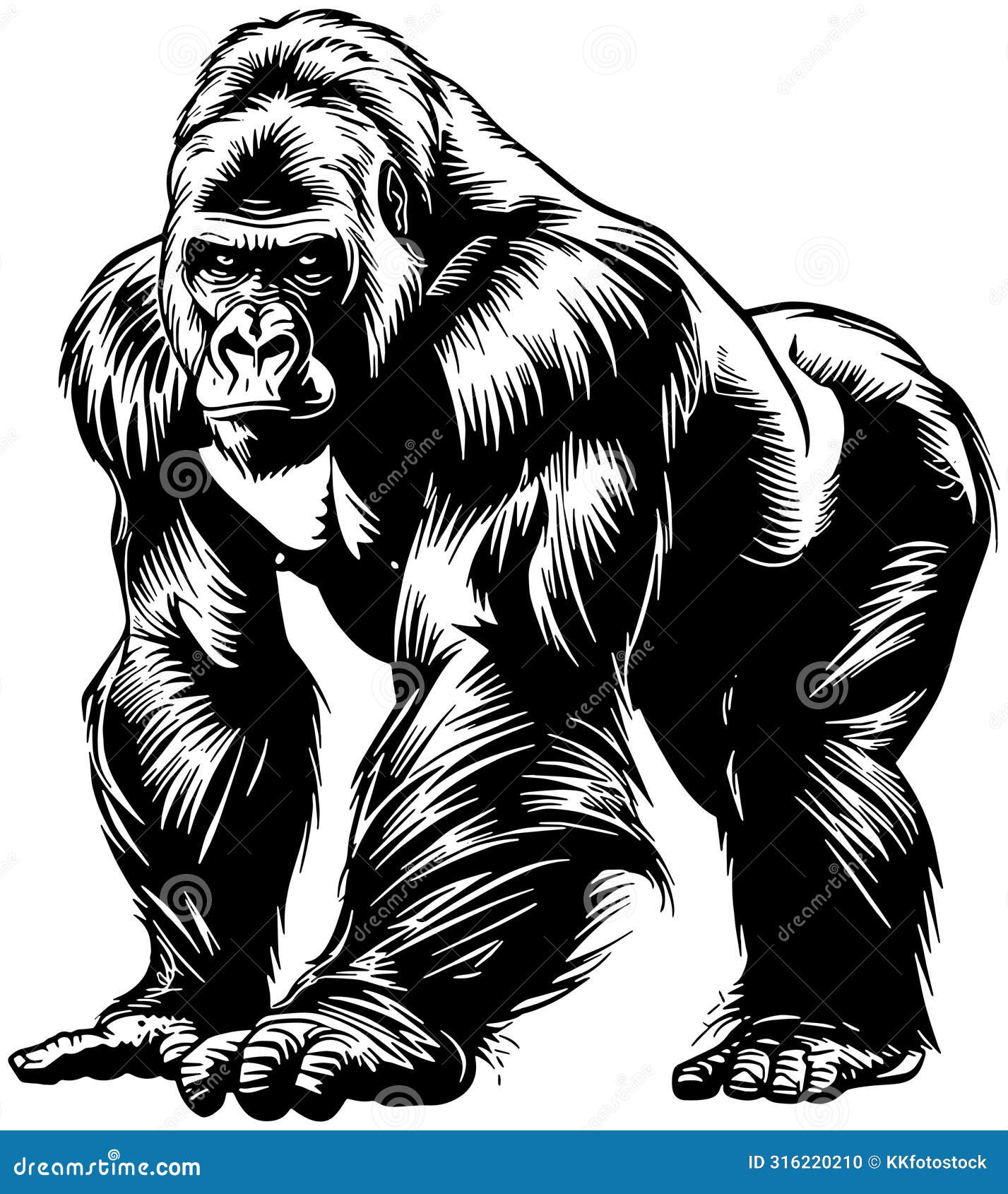 Illustration of a Silverback Gorilla Stock Vector - Illustration of ...