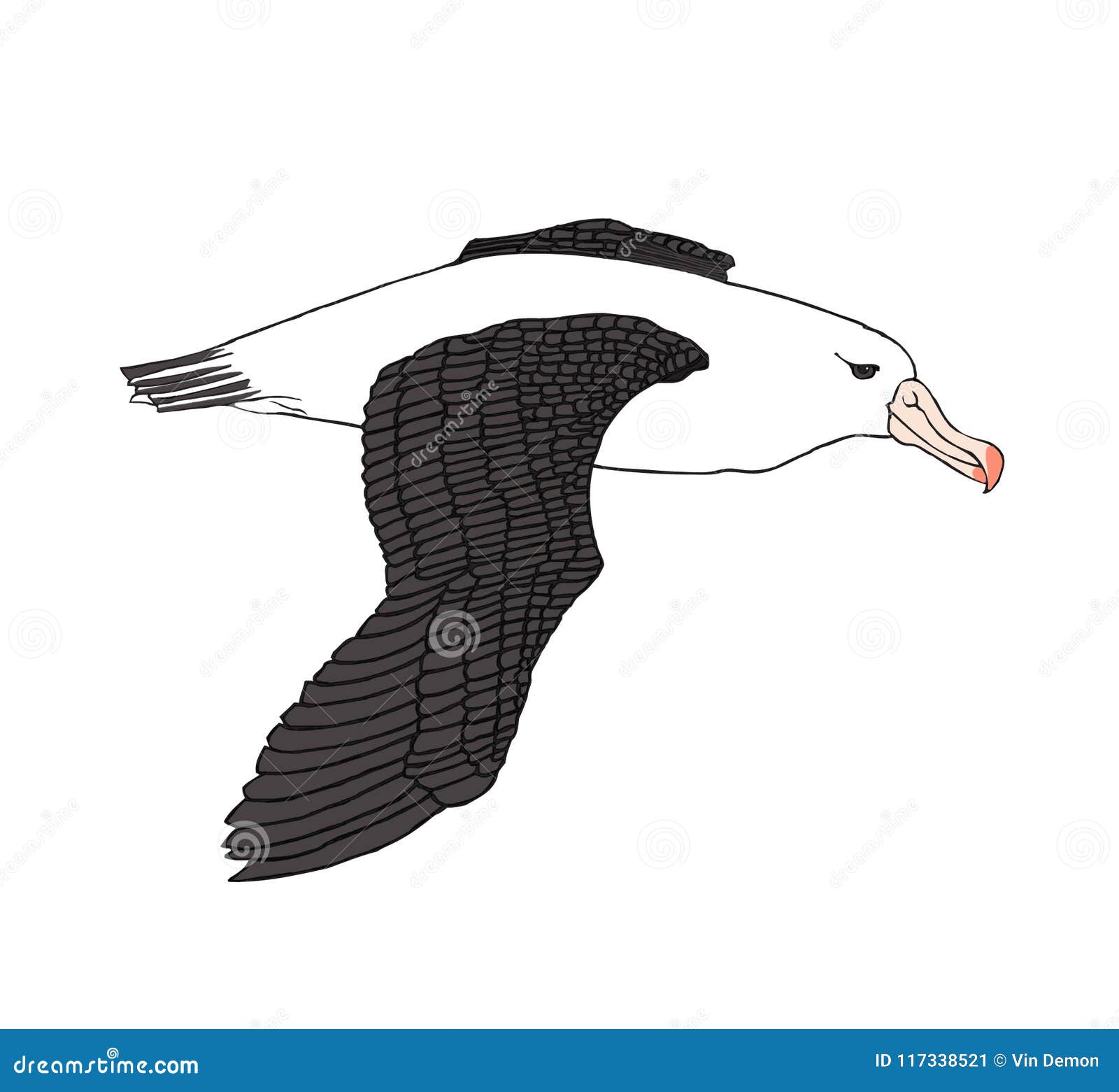 Illustration Simple D'un Grand Albatros Illustration Stock ...
