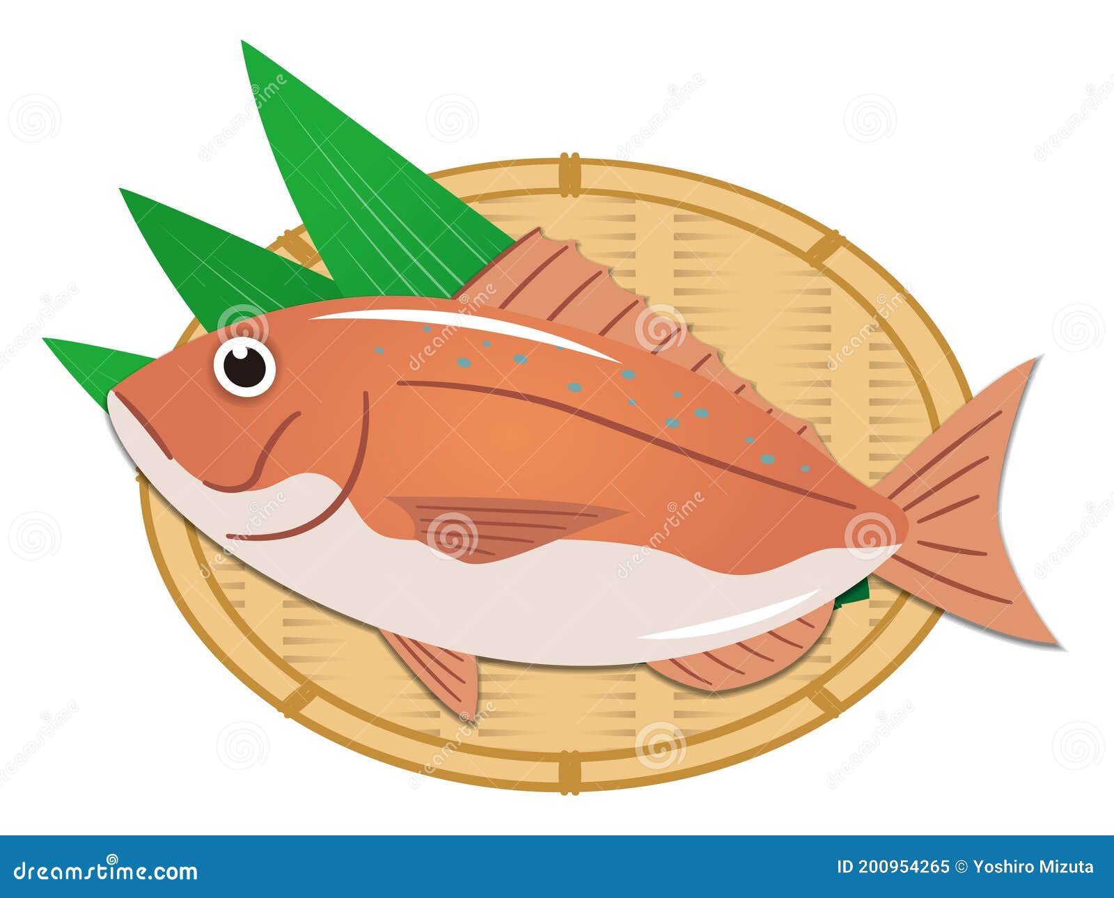 Illustration of a Simple Sea Bream on a White Background Stock Vector ...