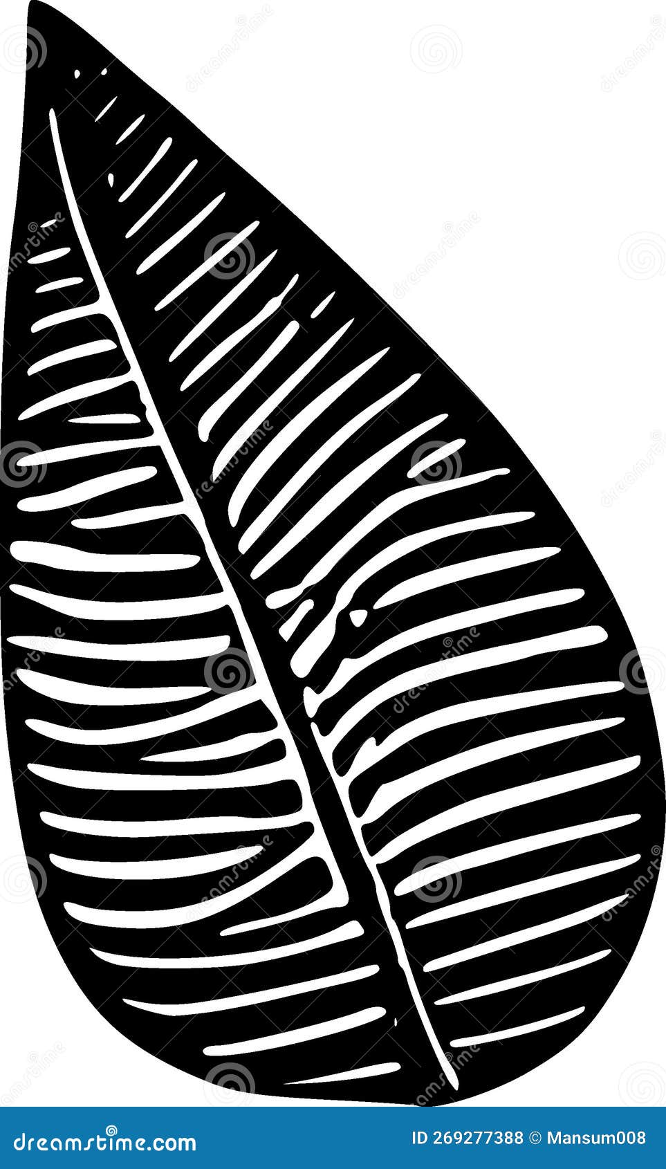 Illustration of a Single Leaf Stock Illustration - Illustration of ...