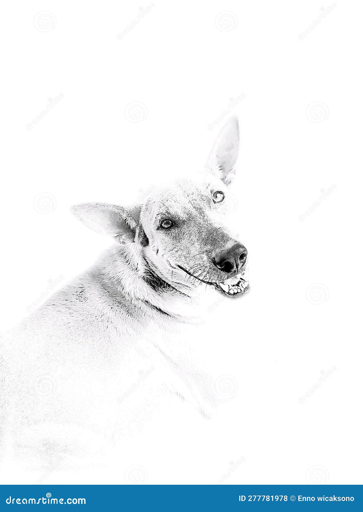 Illustration of a Sitting Stray Dog ??sketch Stock Illustration ...