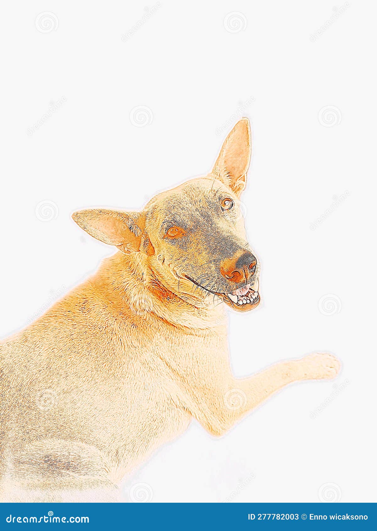 Illustration of a Sitting Stray Dog ??sketch Stock Image - Image of ...