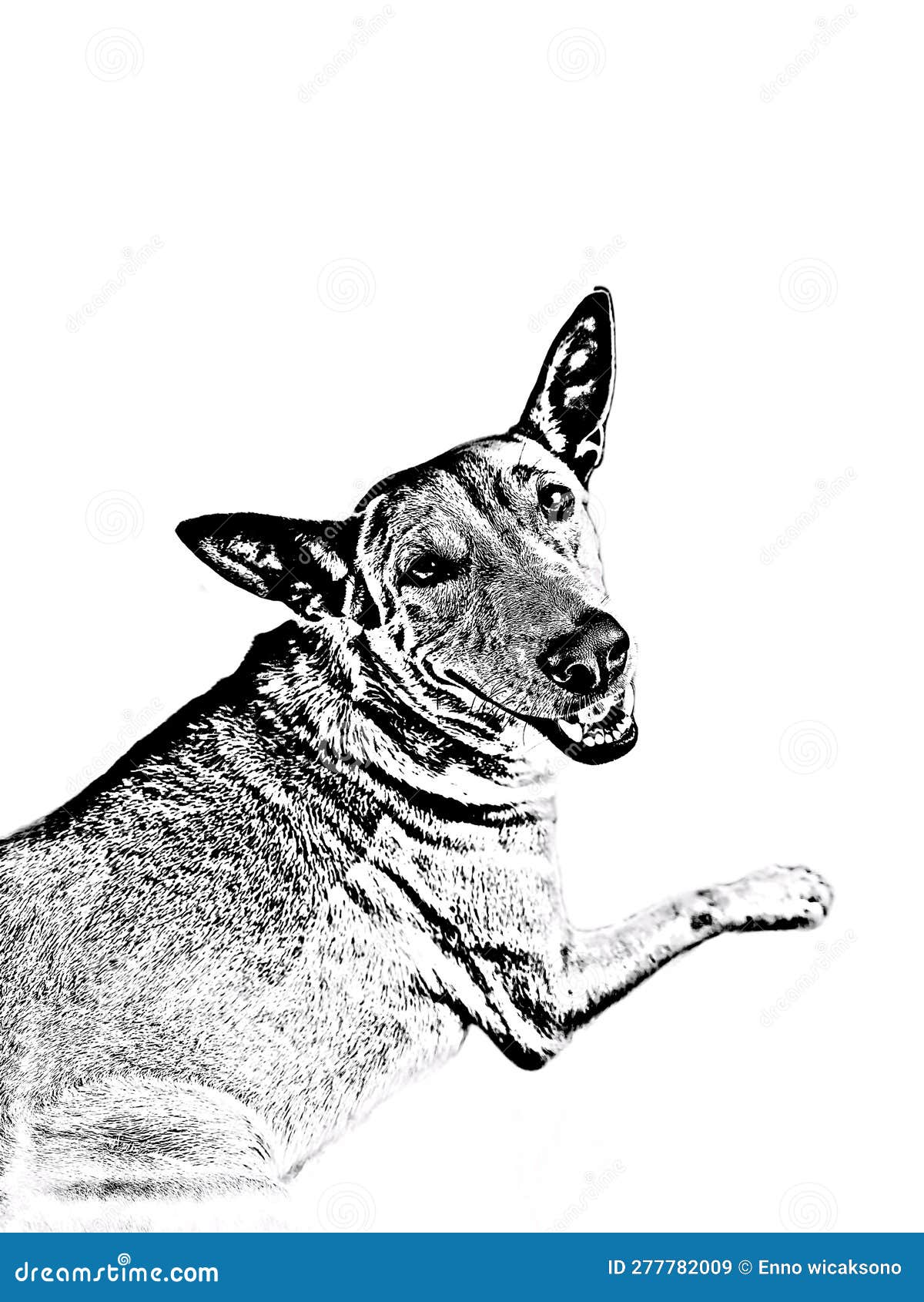 Illustration of a Sitting Stray Dog ??sketch Stock Image - Image of ...