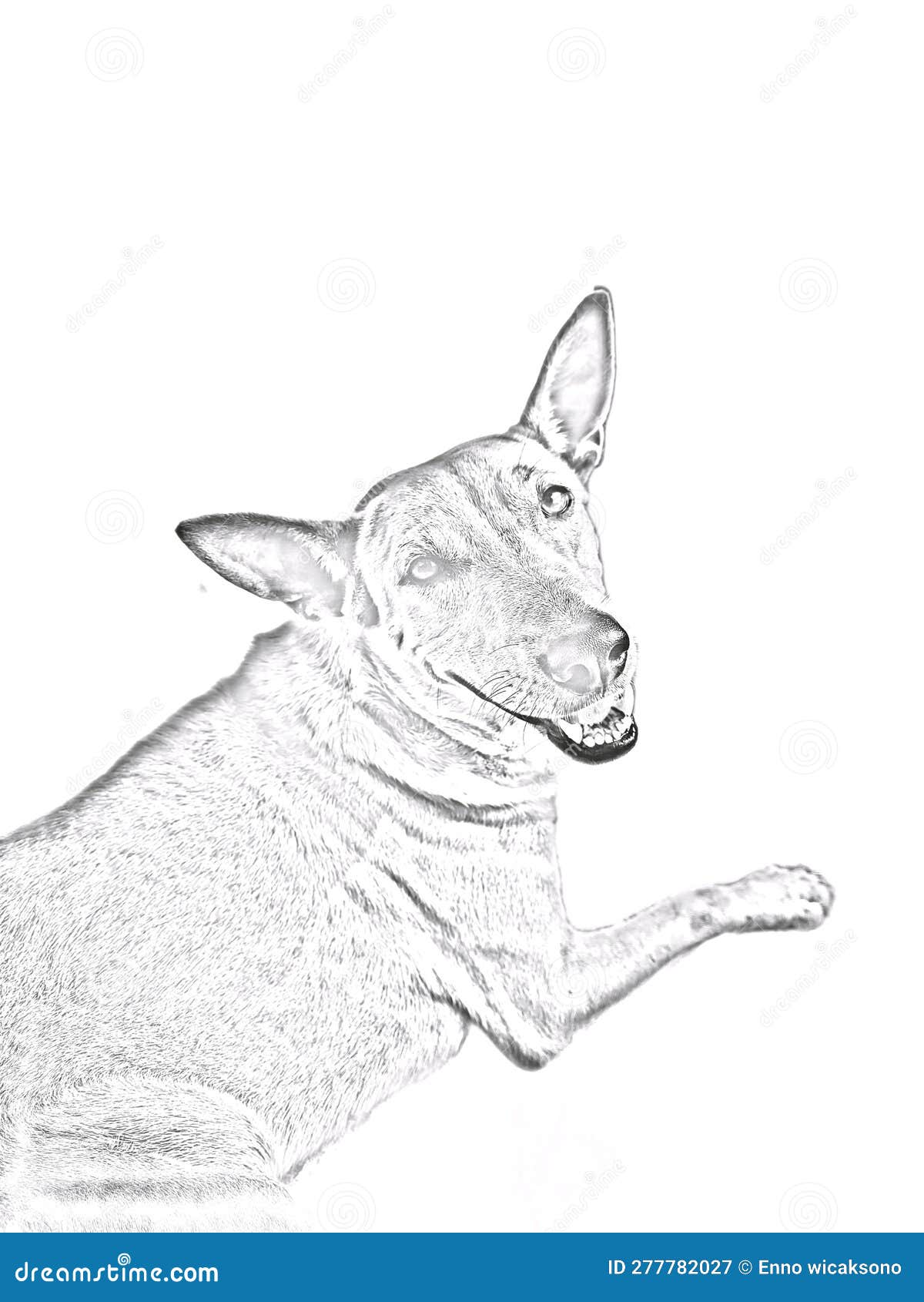 Illustration of a Sitting Stray Dog ??sketch Stock Image - Image of ...