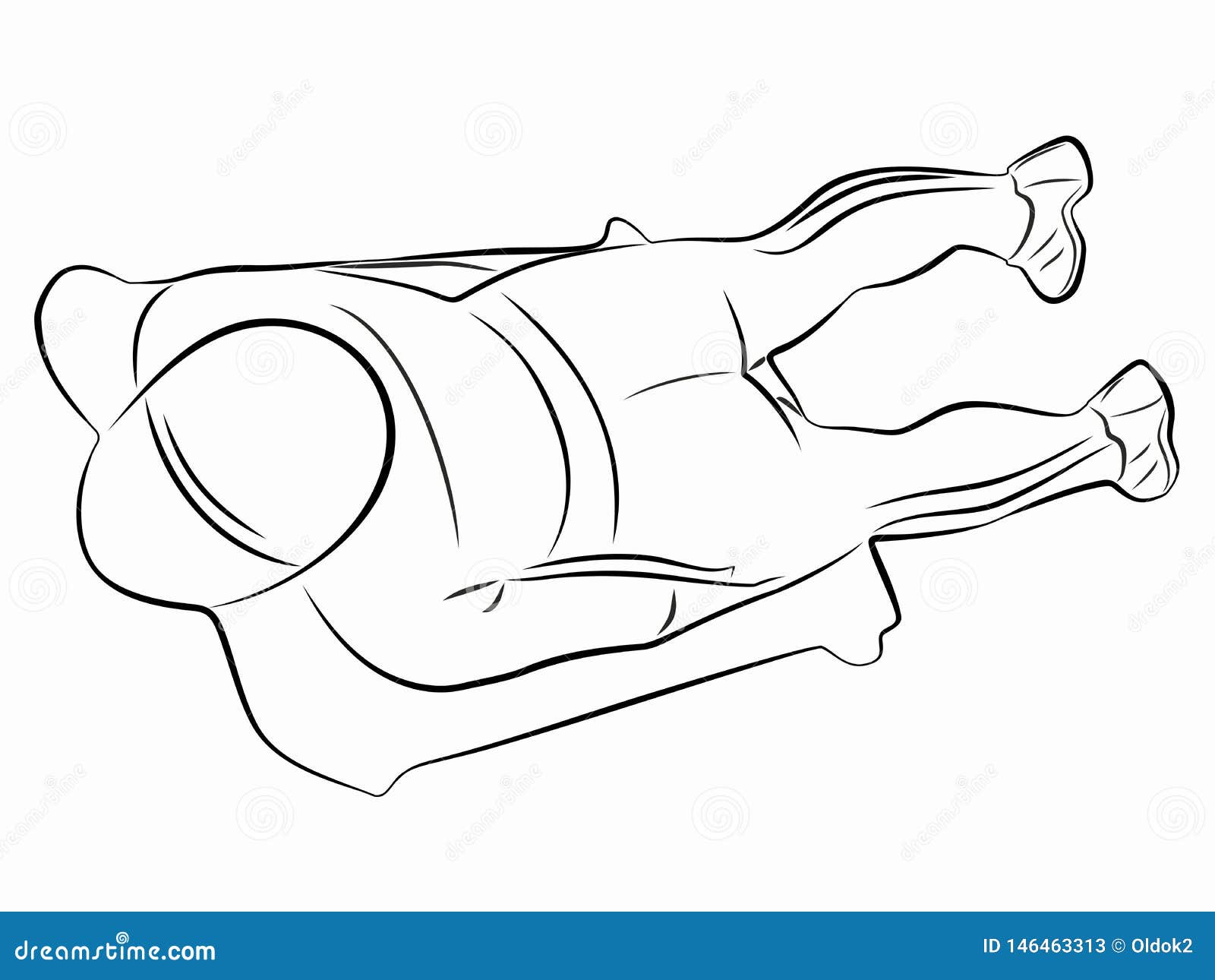 3d Illustration Of Skeleton Knee Bone Anatomy Stock Photo ...