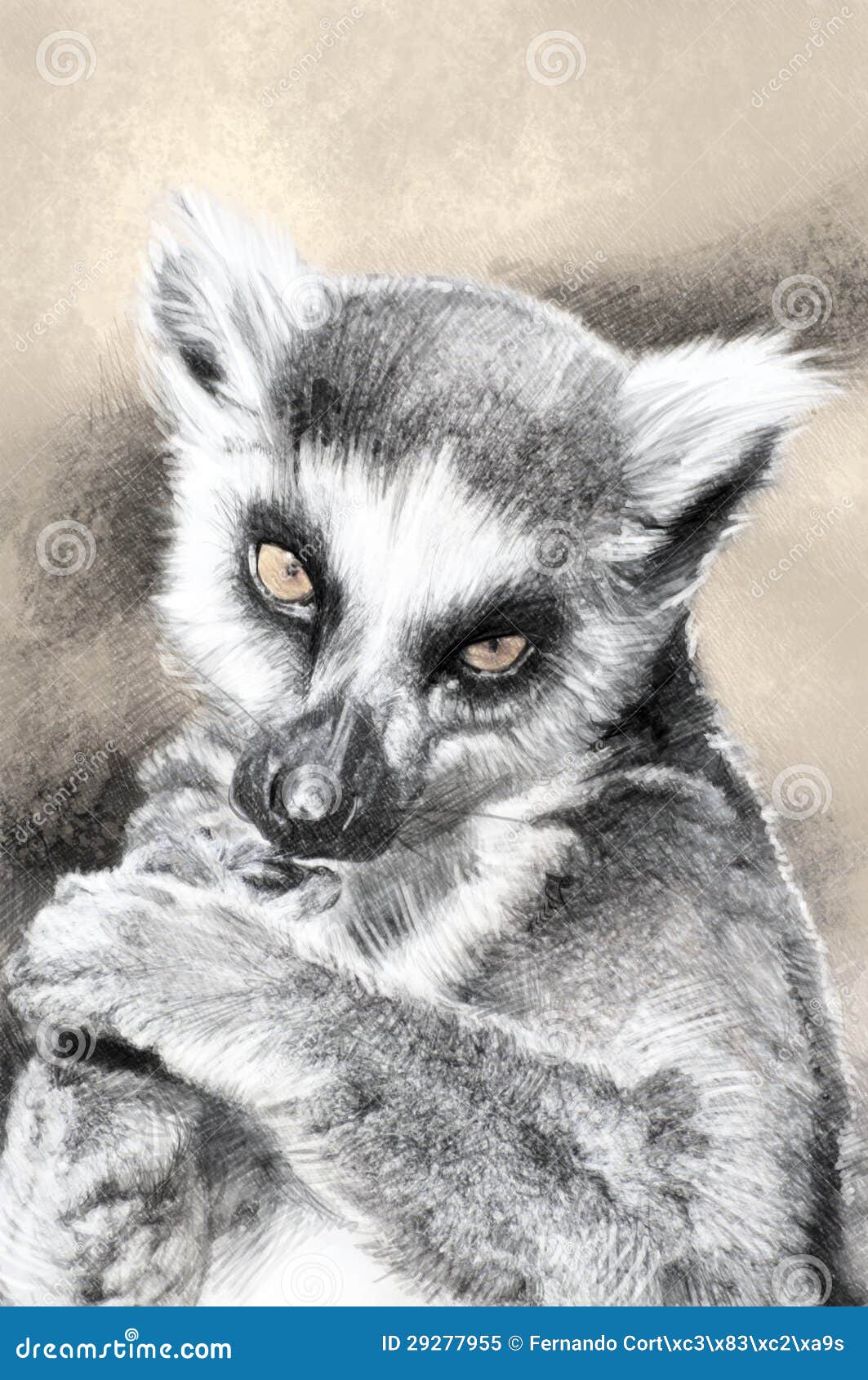 Illustration Sketch of Lemur Made with Digital Tablet Stock ...