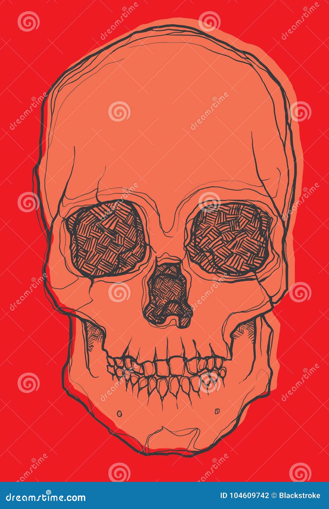Hand drawn skull stock illustration. Illustration of anatomy - 104609742