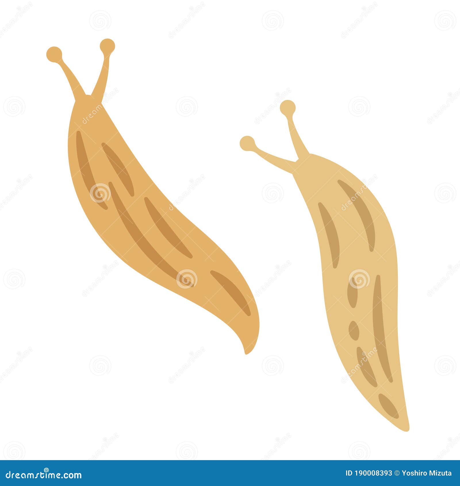 Illustration of Slug on White Background Stock Vector - Illustration of ...