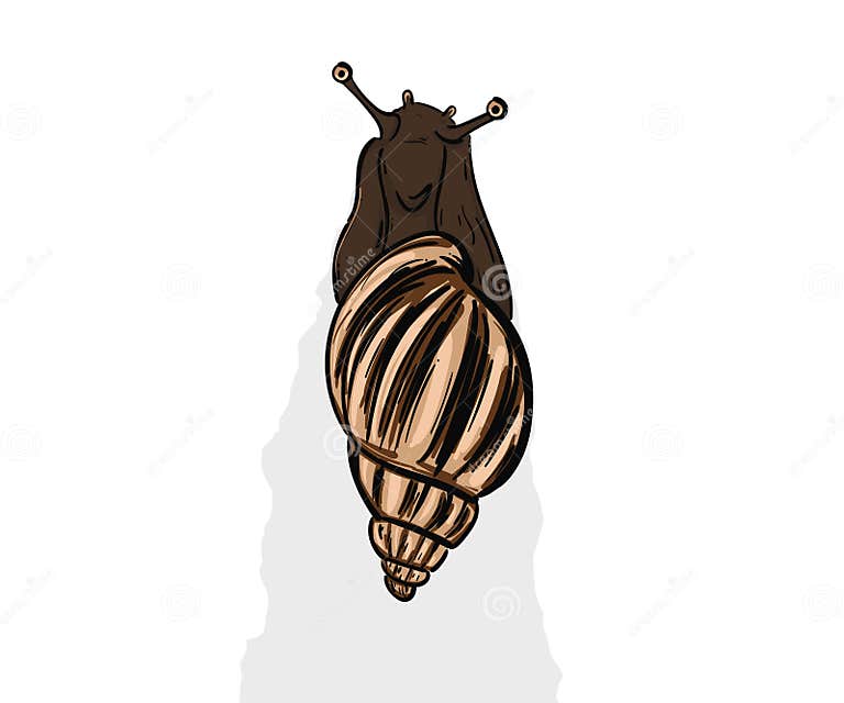 Illustration of a Snail Running Stock Illustration - Illustration of ...