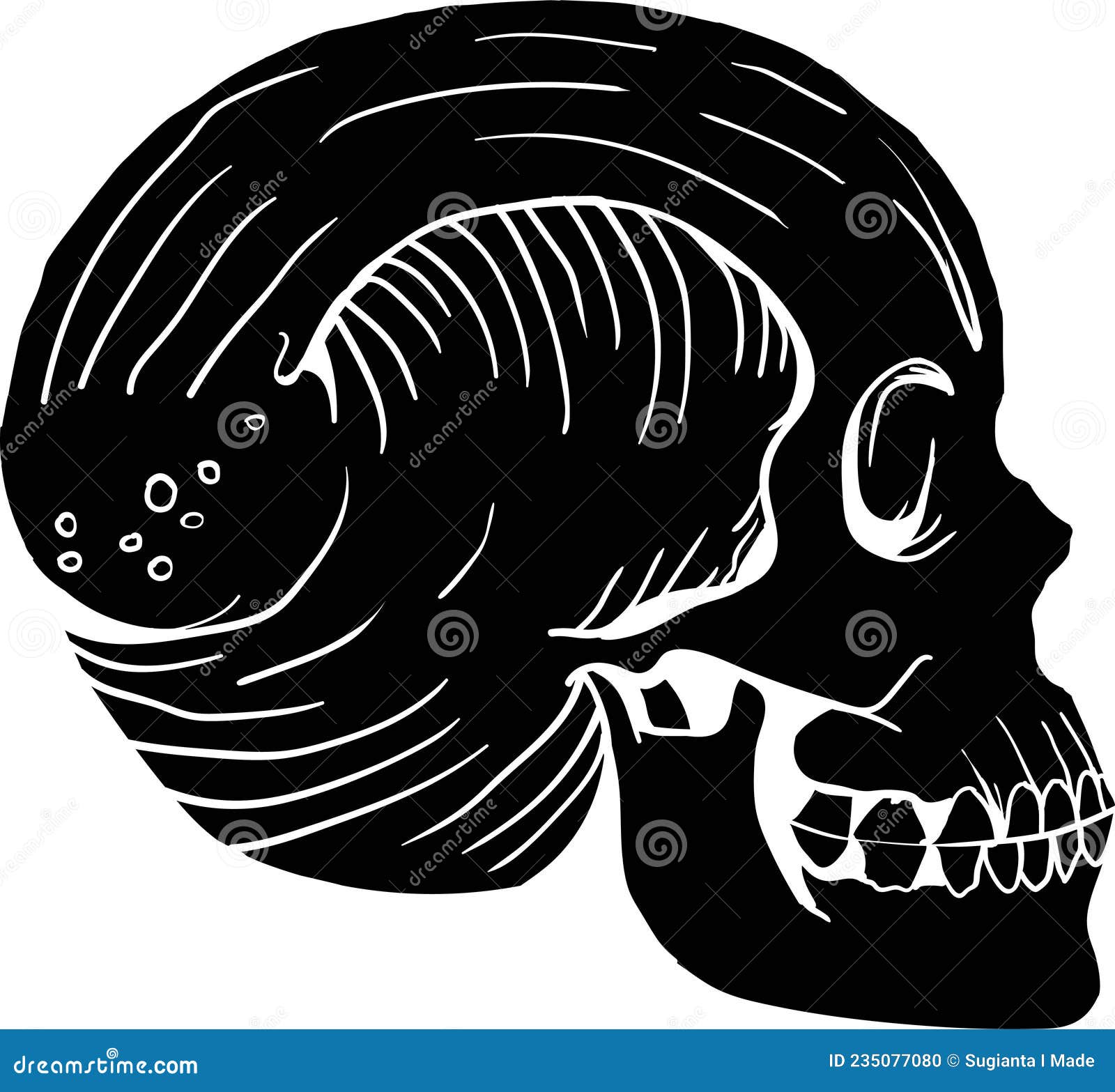 Solid skull vector stock vector. Illustration of suitable - 235077080