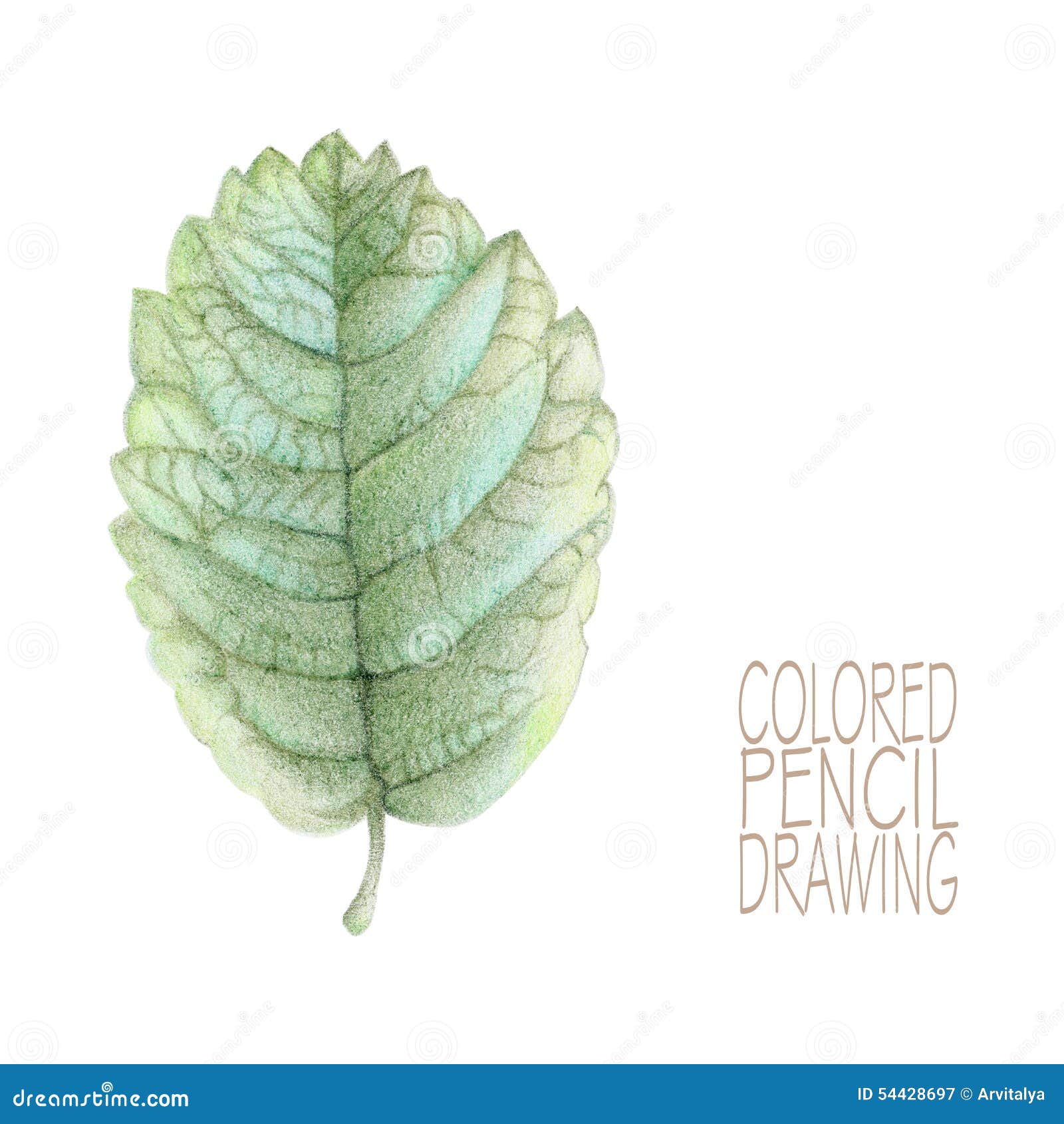 Illustration with Spring Leaf Stock Illustration - Illustration of ...