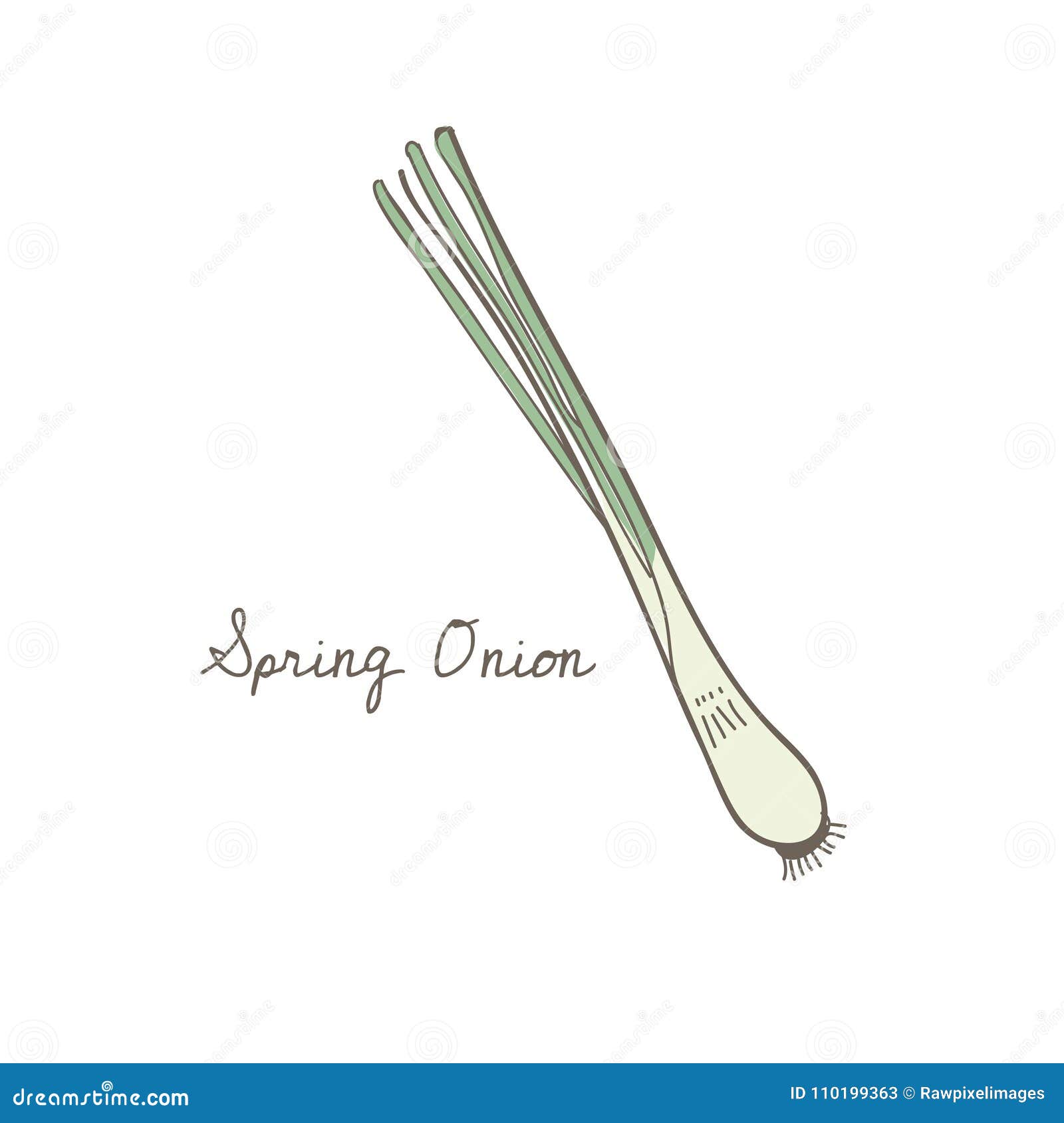 Illustration of a Spring Onion Icon Stock Illustration - Illustration ...
