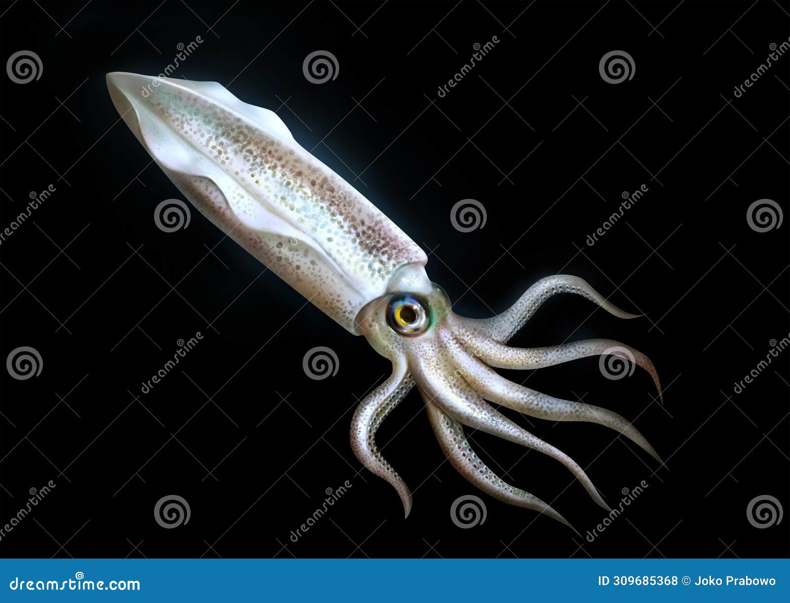 Illustration of squid stock photo. Illustration of fishing - 309685368