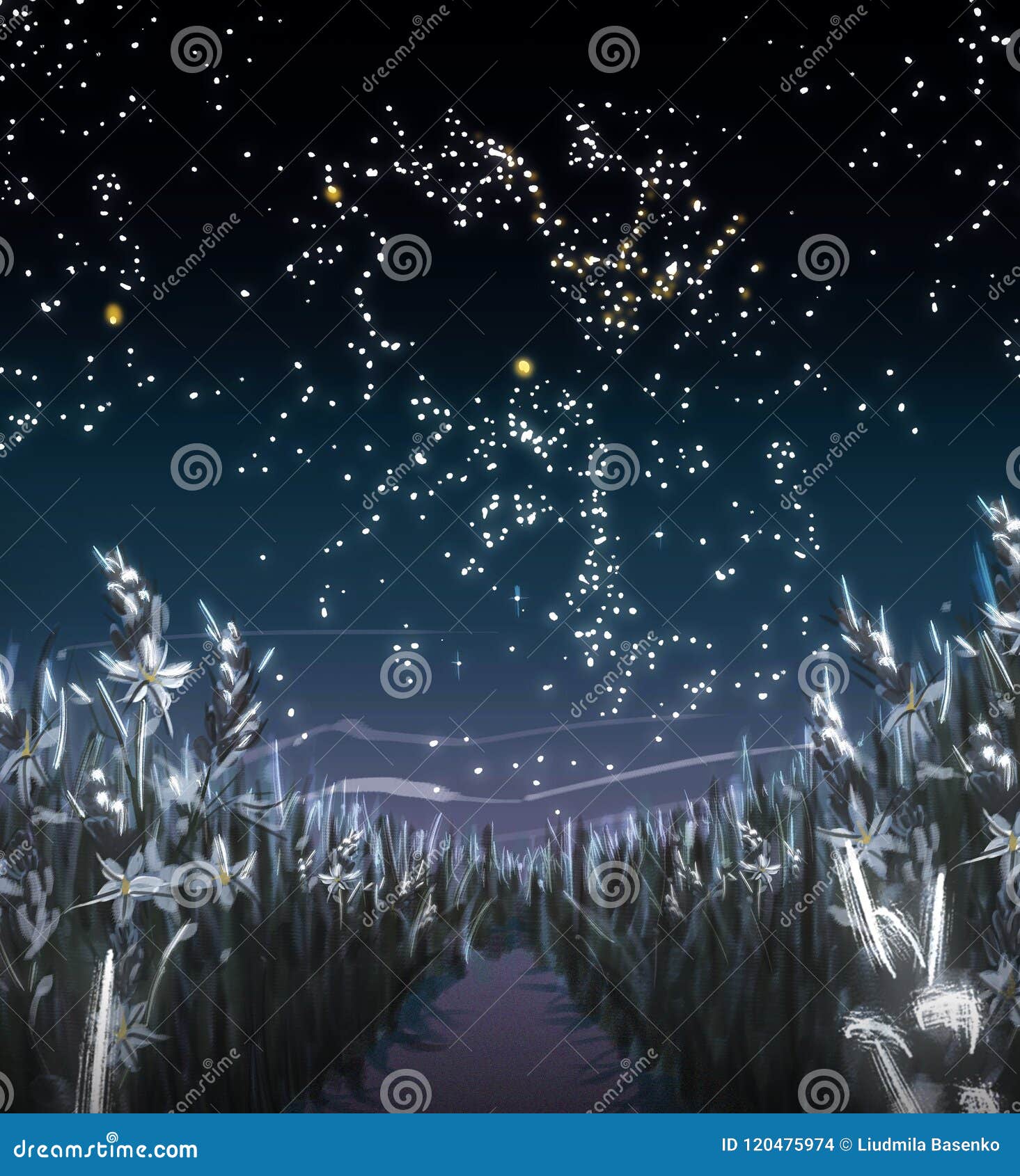 Illustration of a Starry Sky Over a Field Stock Illustration ...