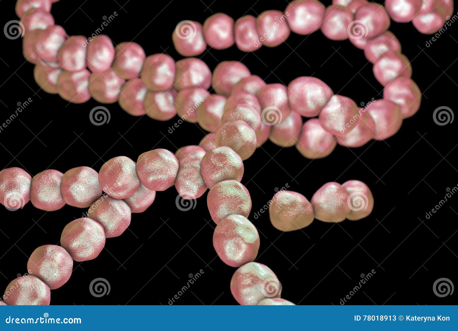 Illustration of Streptococcus Bacteria Stock Illustration ...