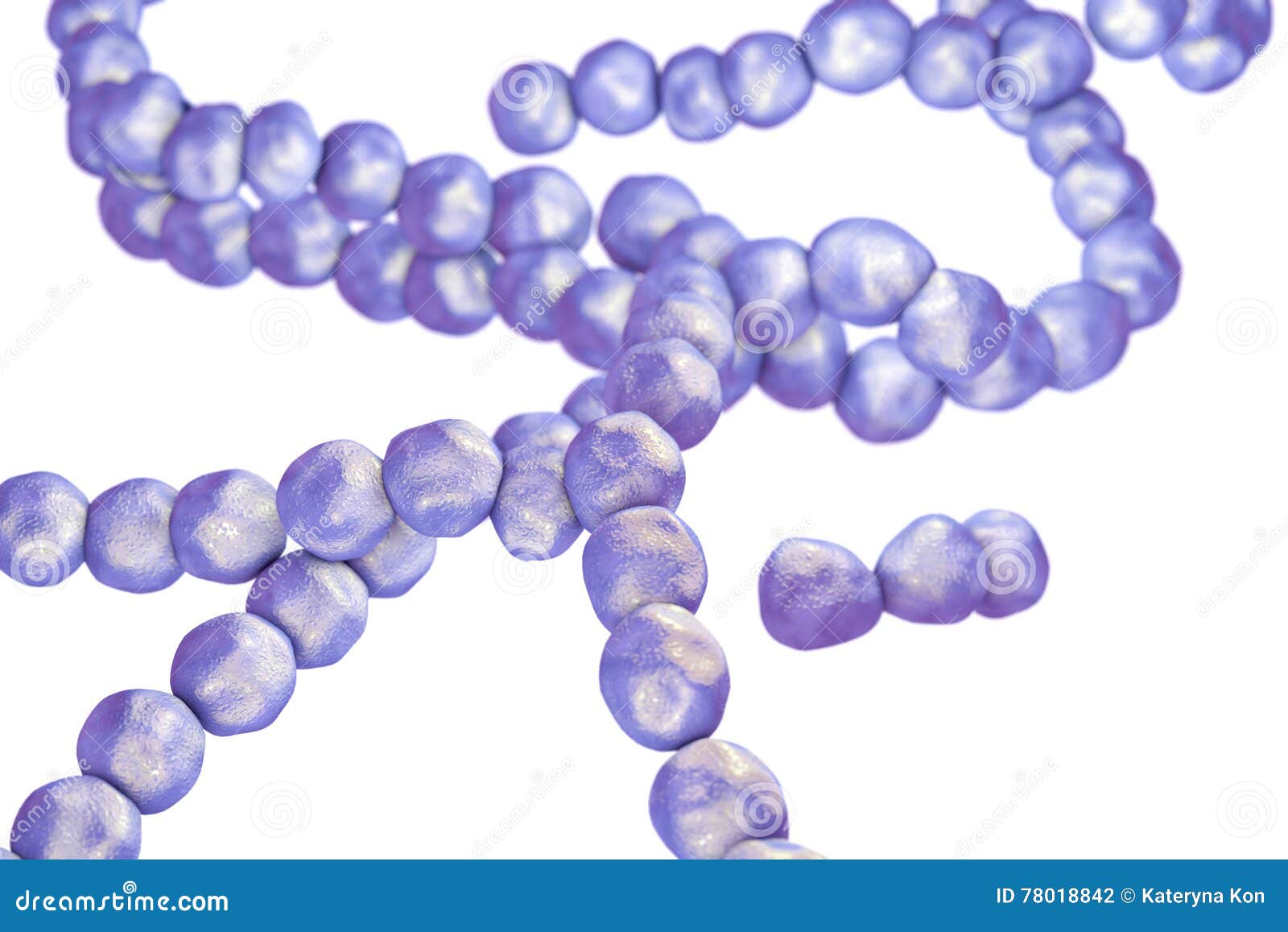Illustration of Streptococcus Bacteria Stock Illustration ...