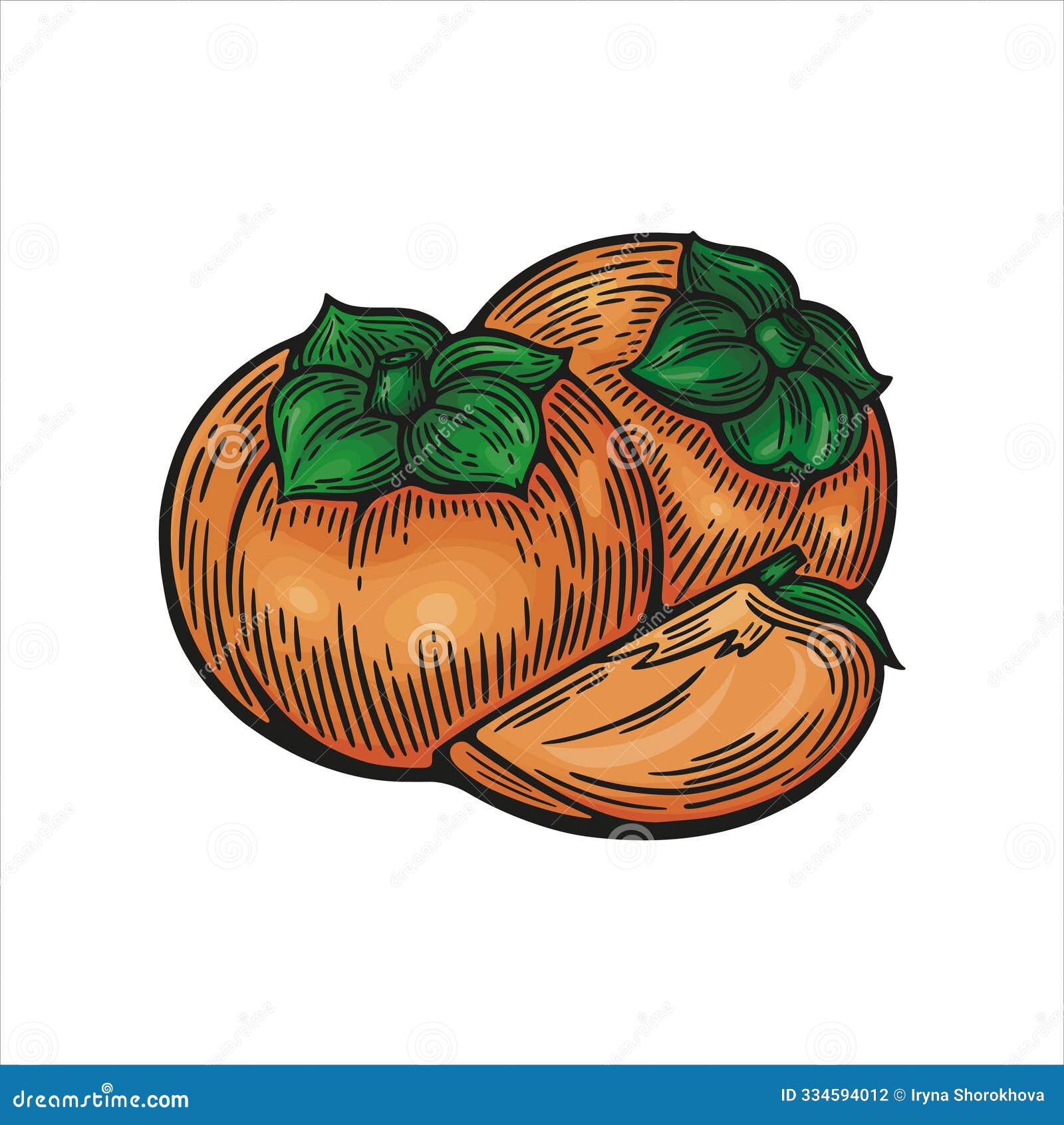 Line Art Persimmons. Vector Illustration Royalty-Free Stock Image ...
