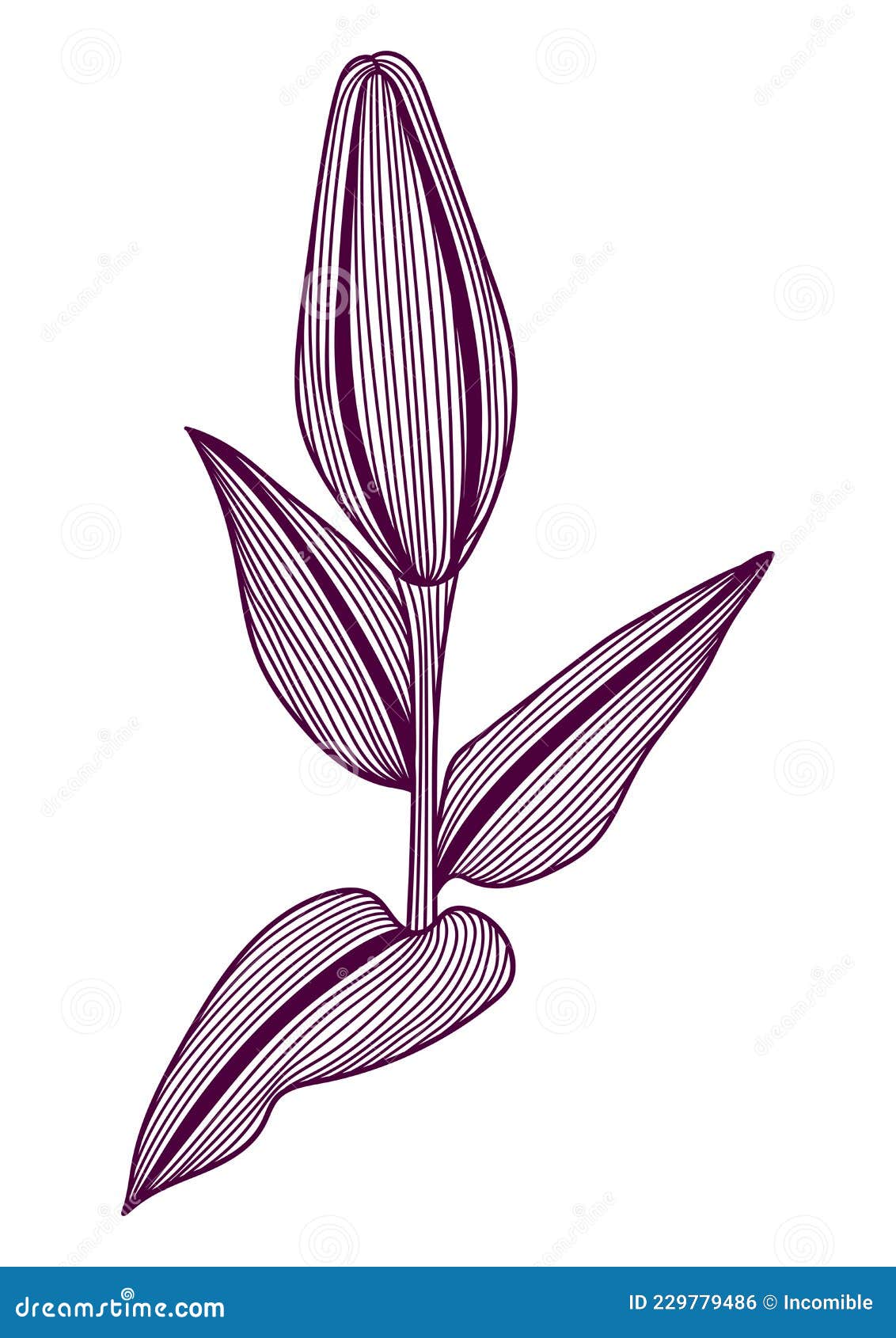Illustration of Stylized Lily Flower. Decorative Image of Beautiful Bud ...