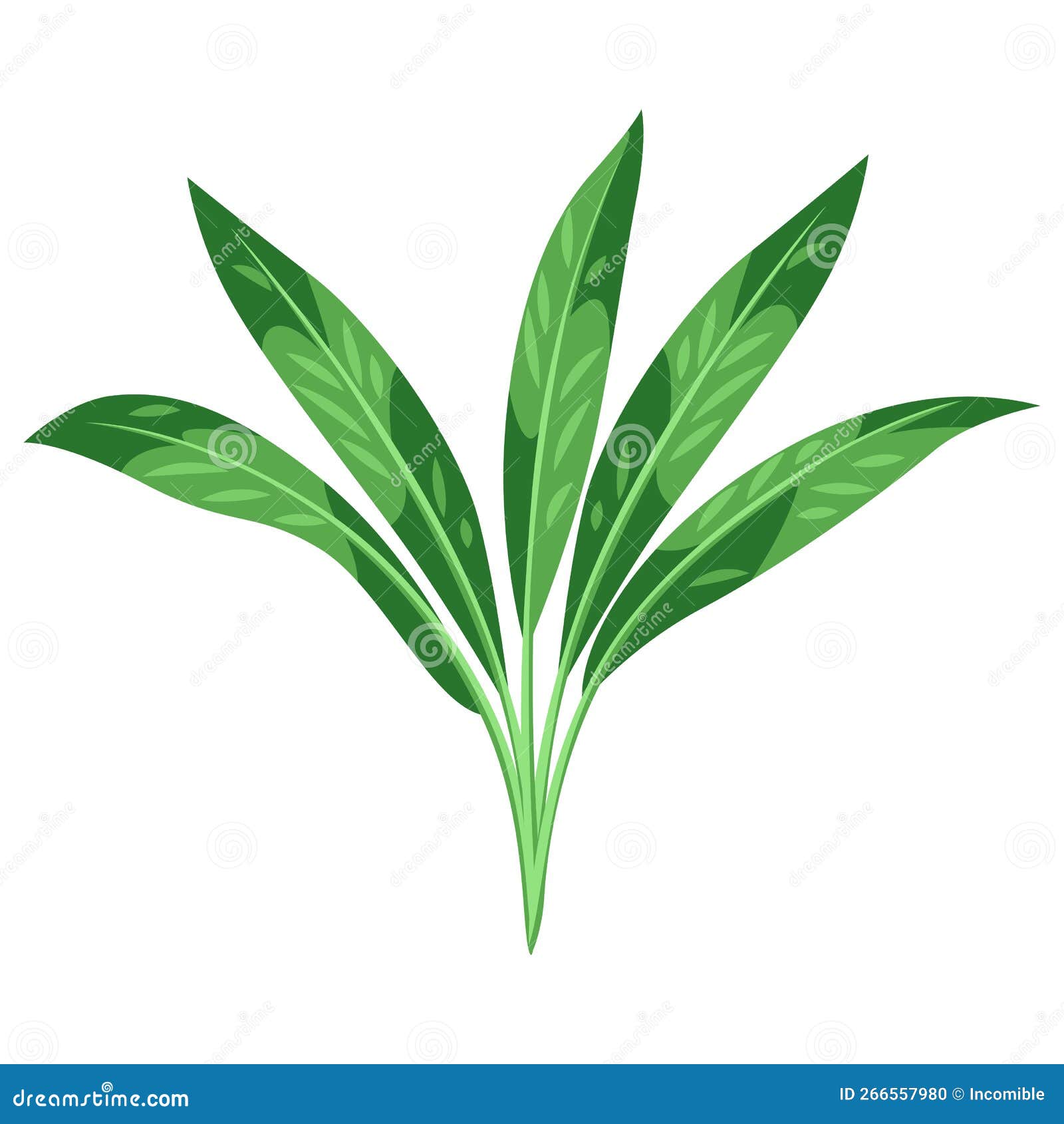 Illustration of Stylized Palm Leaf. Image of Tropical Foliage and Plant ...