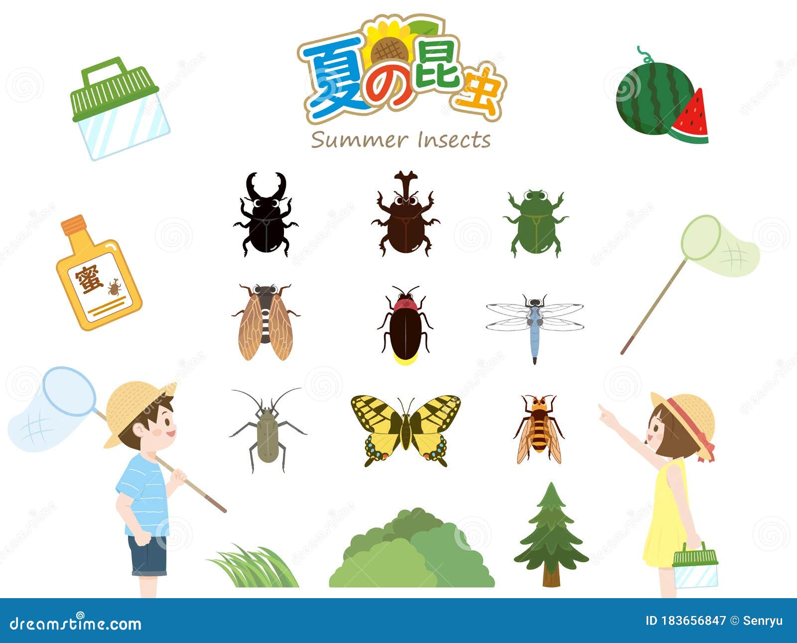 Summer insects stock vector. Illustration of cicada - 183656847
