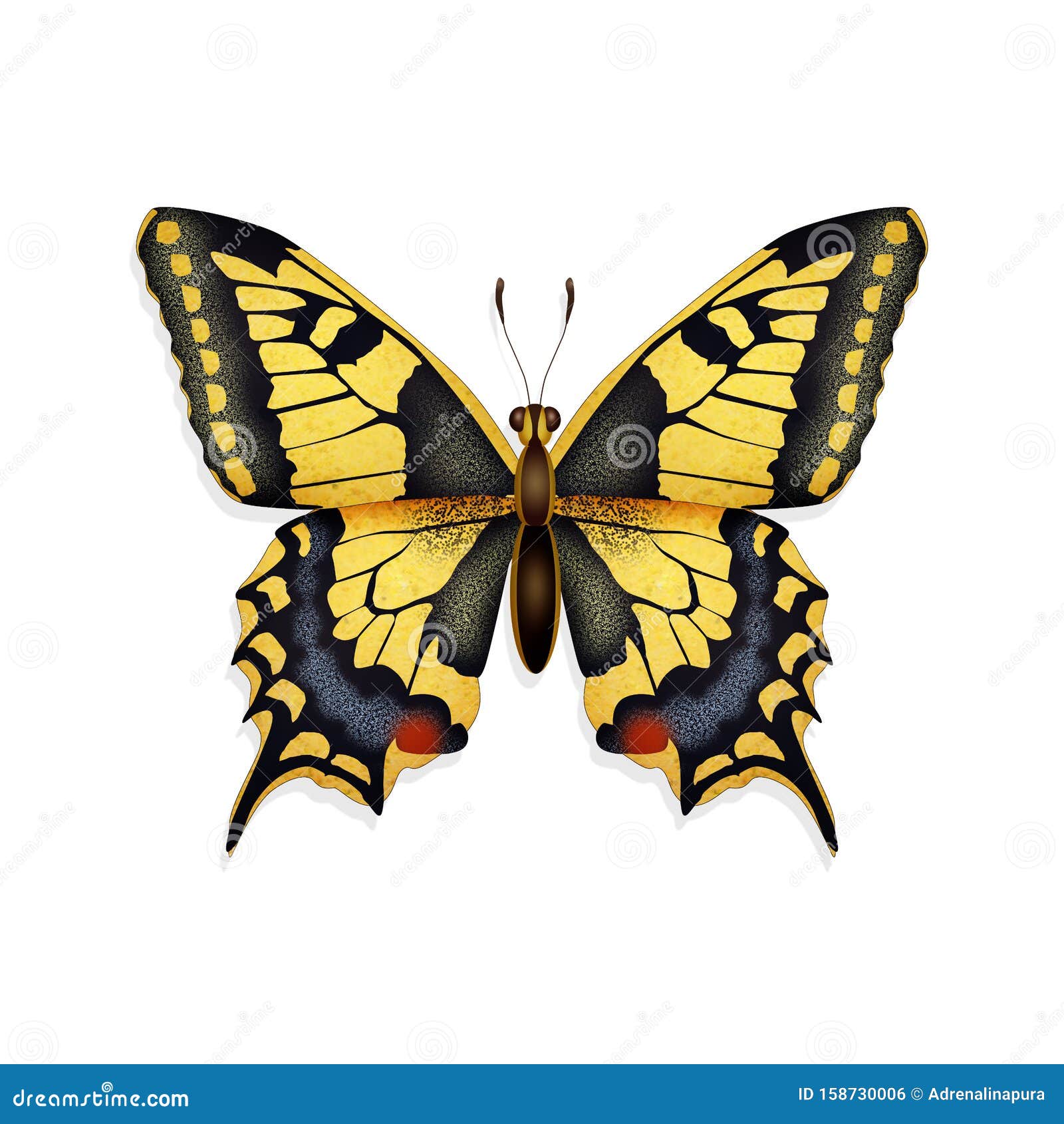 Illustration of the Swallowtail Icon Stock Illustration - Illustration ...