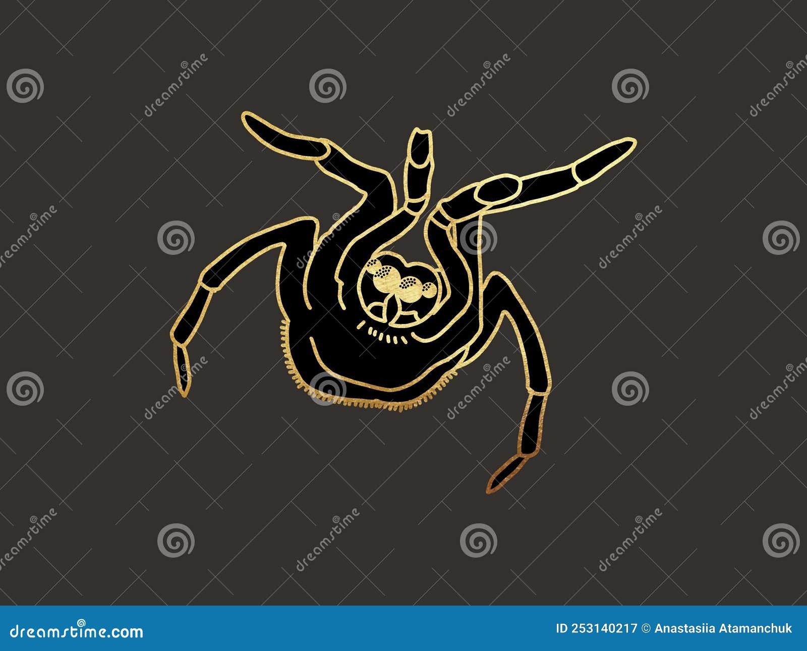Illustration of a Tarantula Spider. Golden Linear Graphics on a Dark ...