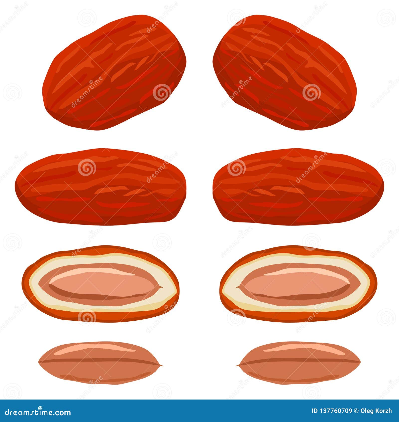 Illustration on Theme Different Types of Date Fruit for Healthy Life ...