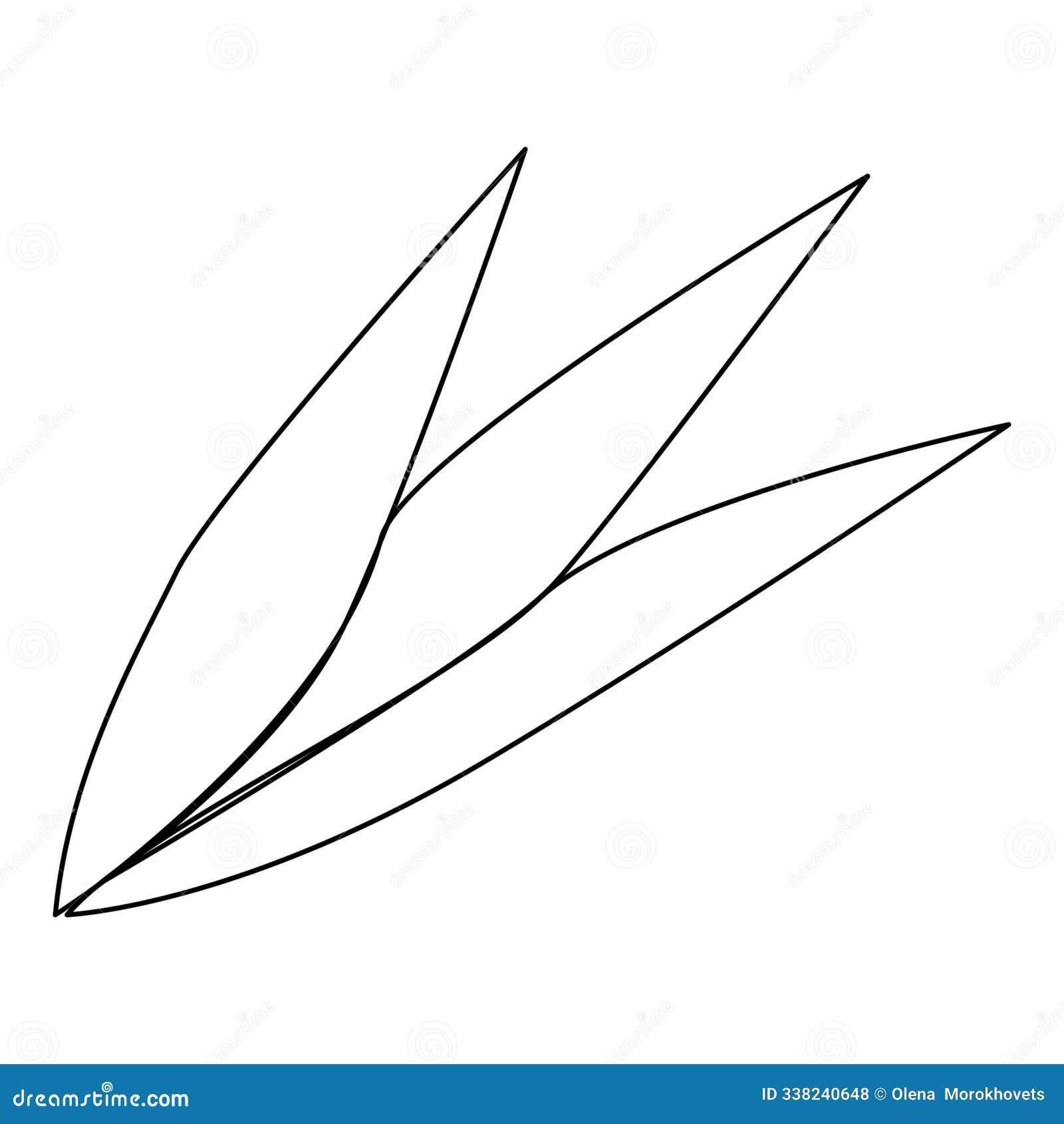 Illustration of Three Angular Leaves Showcasing Their Sharp Shapes and ...