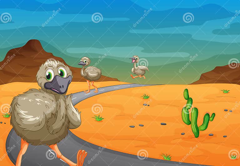 Emu in desert stock vector. Illustration of cactus, path - 30056079