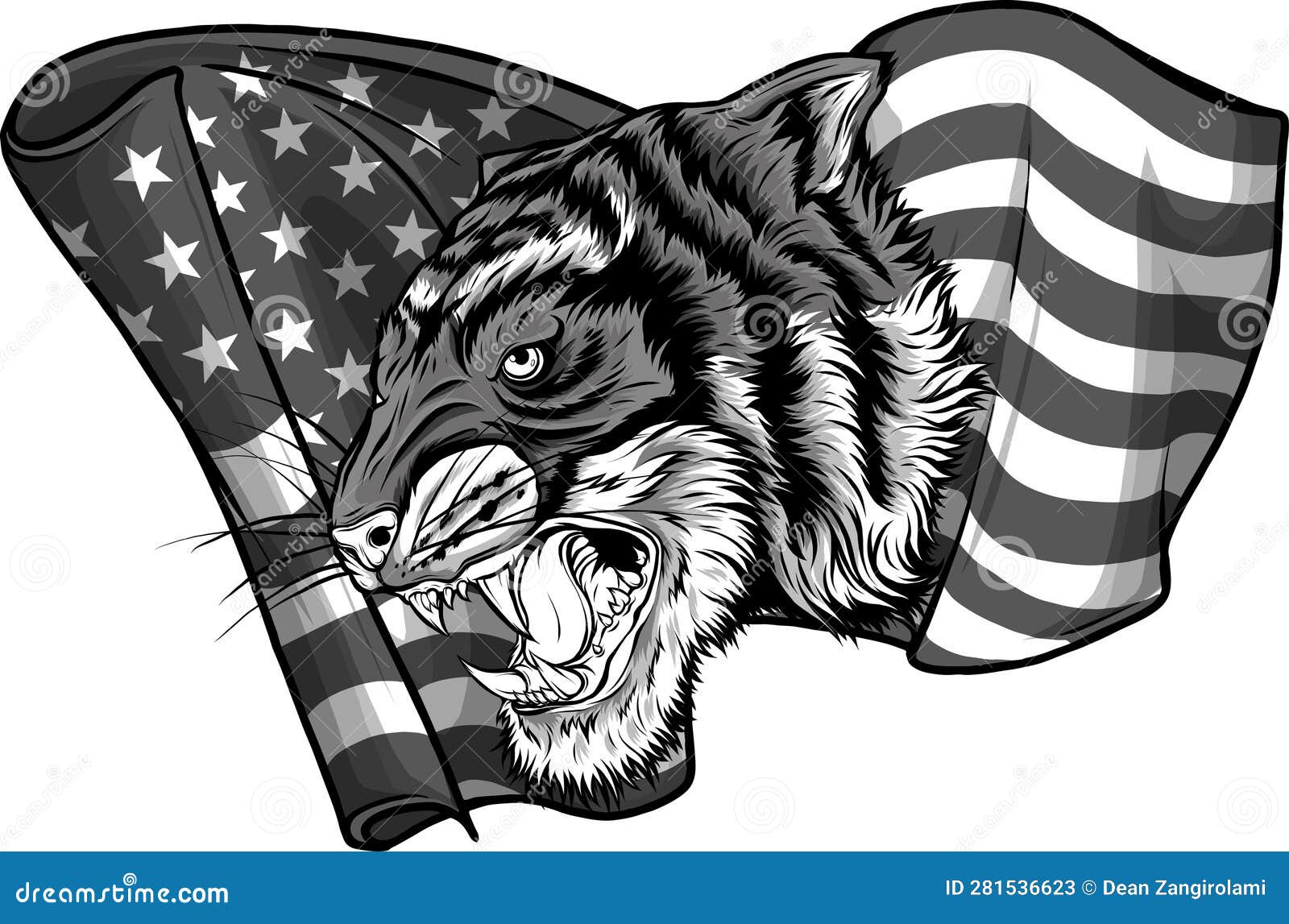 Monochromatic Illustration of Tiger Head and American Flag. Stock ...